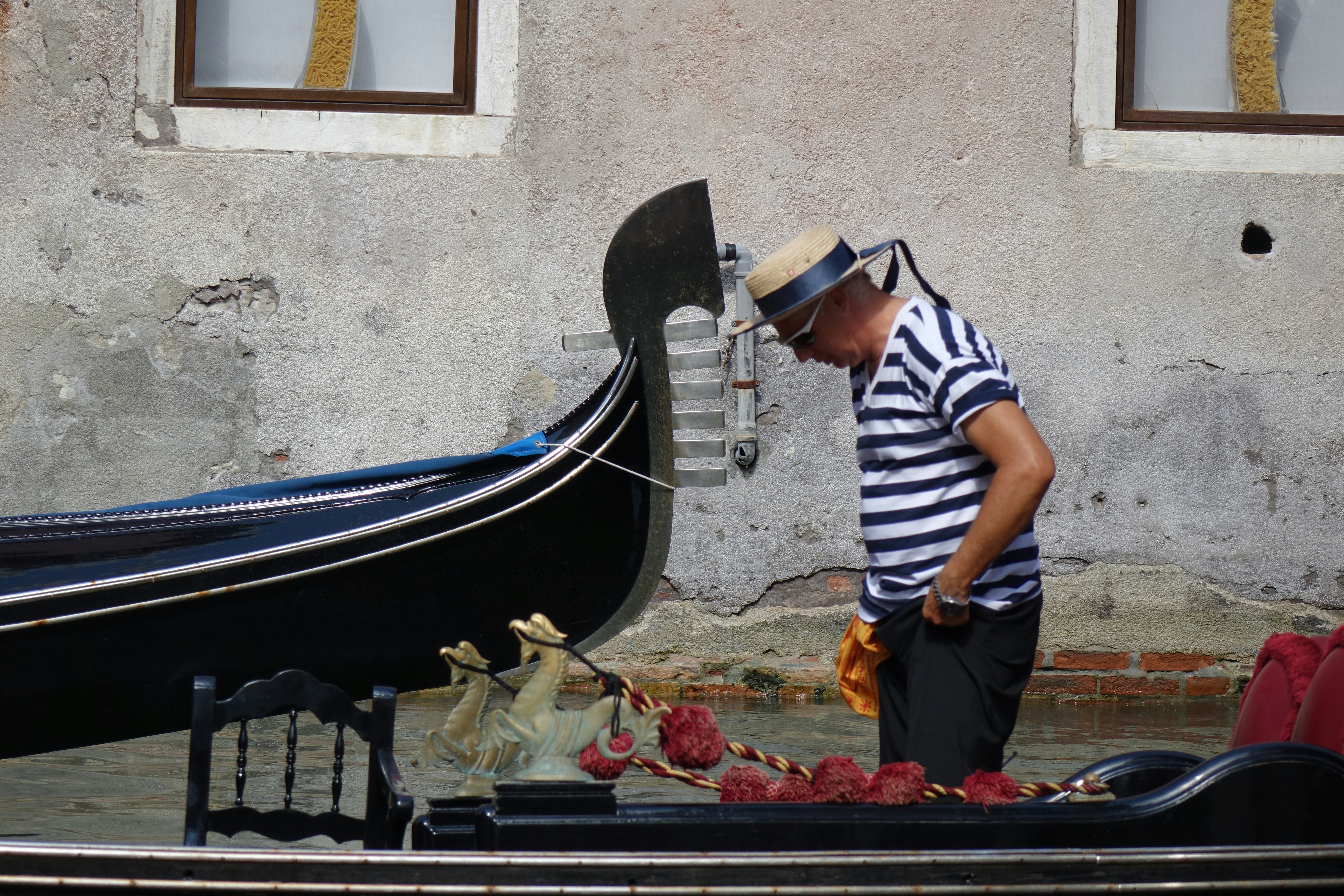 Striped Sentinel by the Canal: A Quiet Venetian Moment