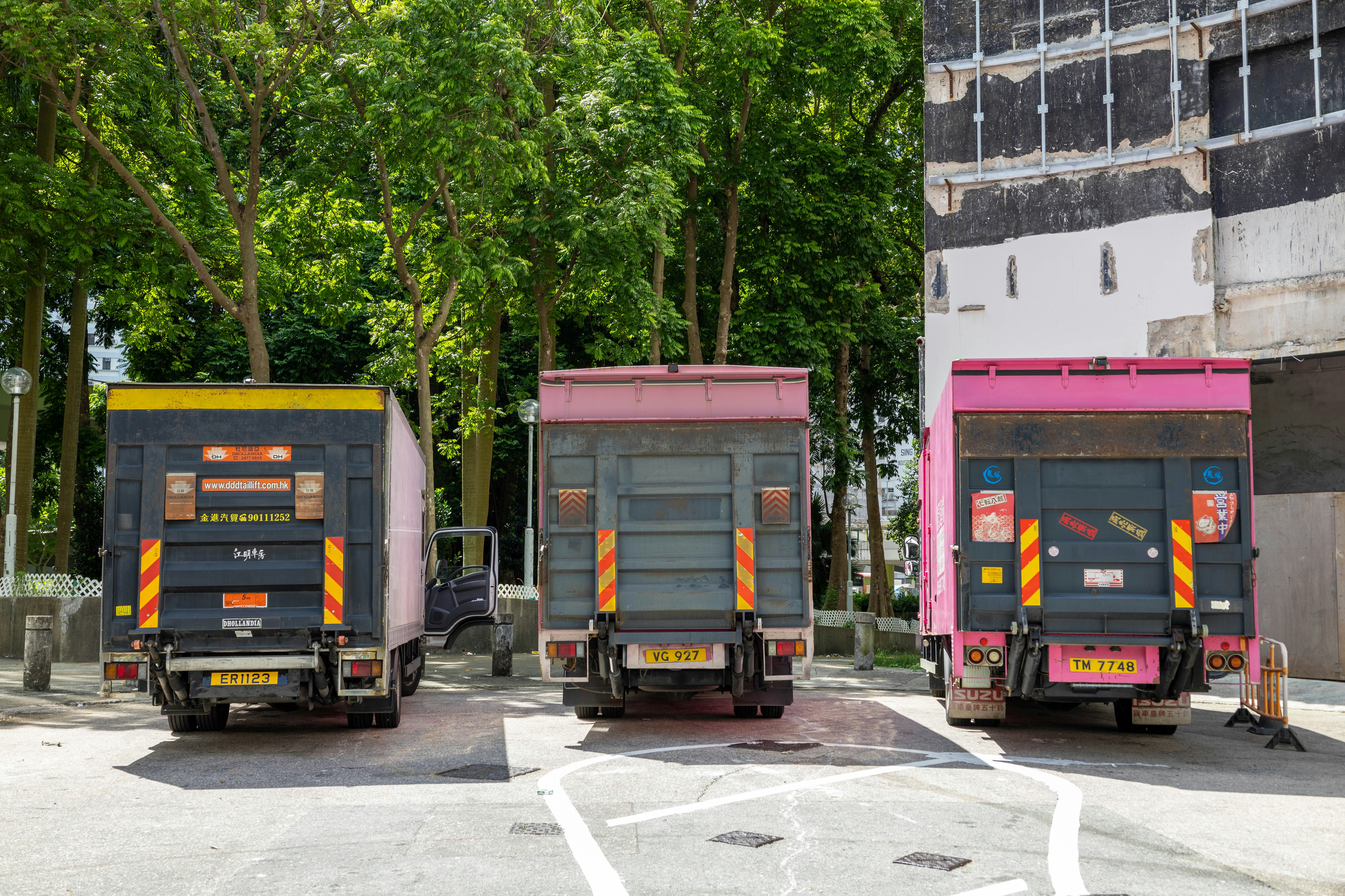 Tri-Color Dump Trucks Rest Along a Tree-Lined Street