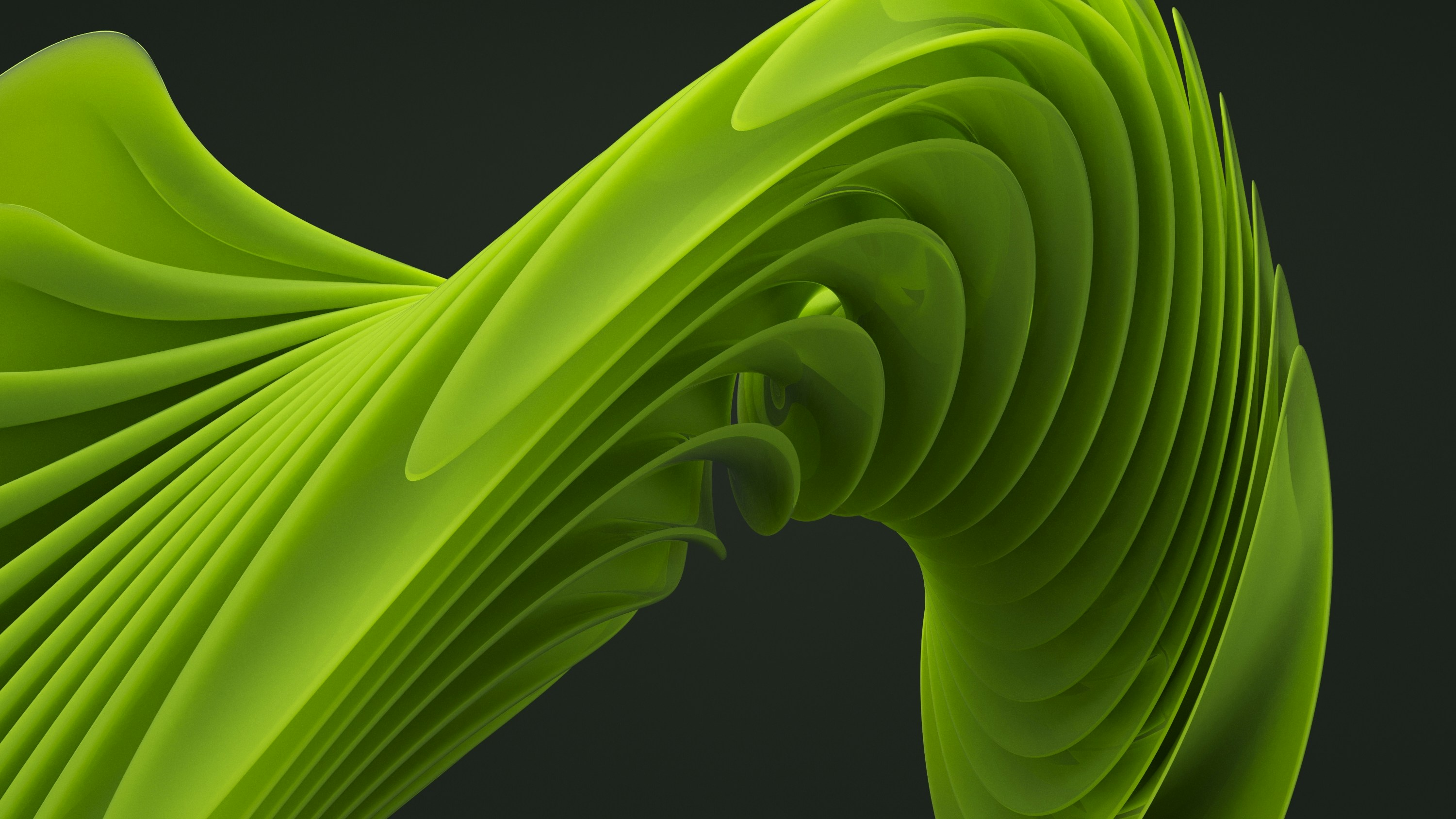 A close up of a green object on a black background photo – Free ...