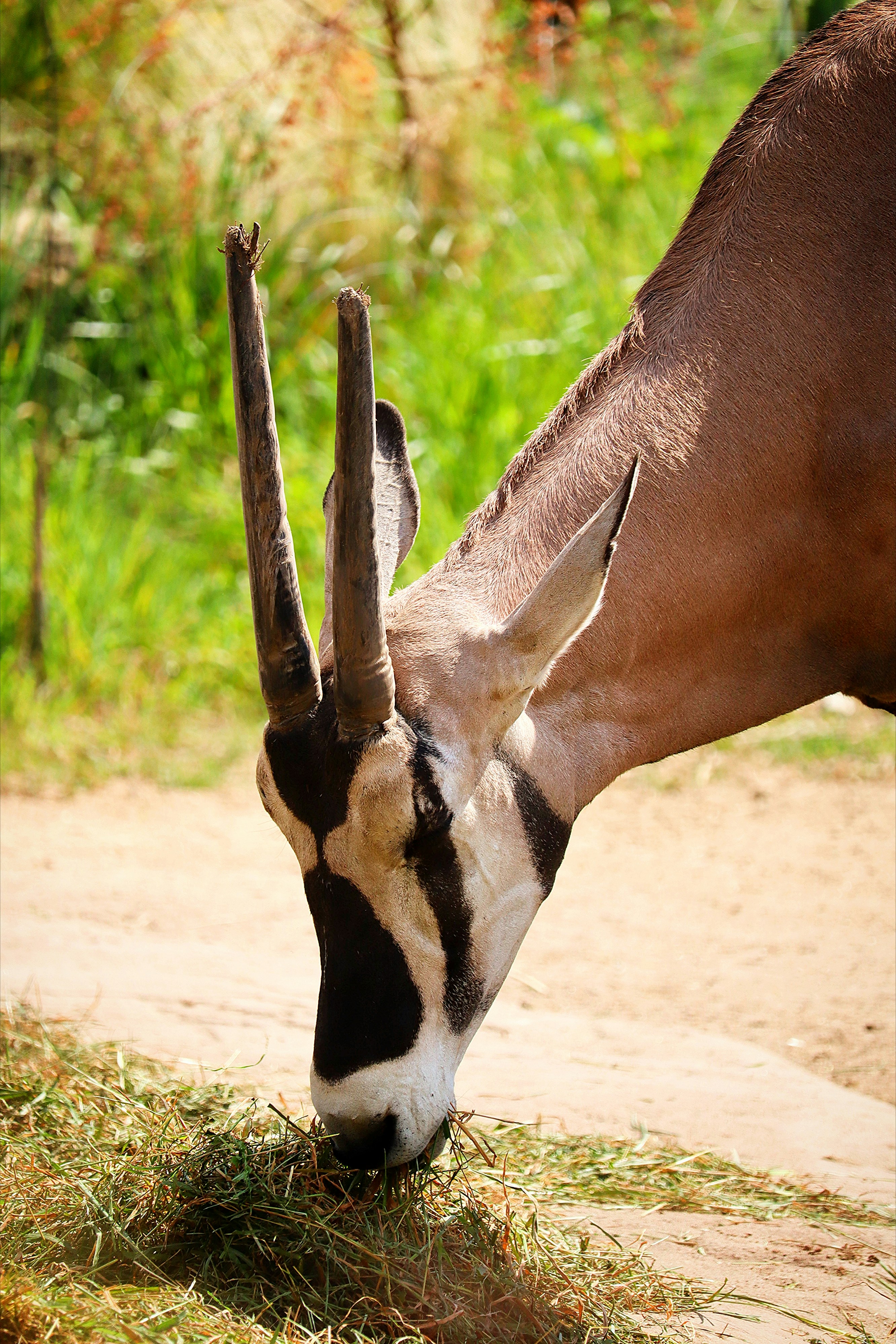 Julien Steffen (@julien_steffen) | Unsplash 사진 커뮤니티