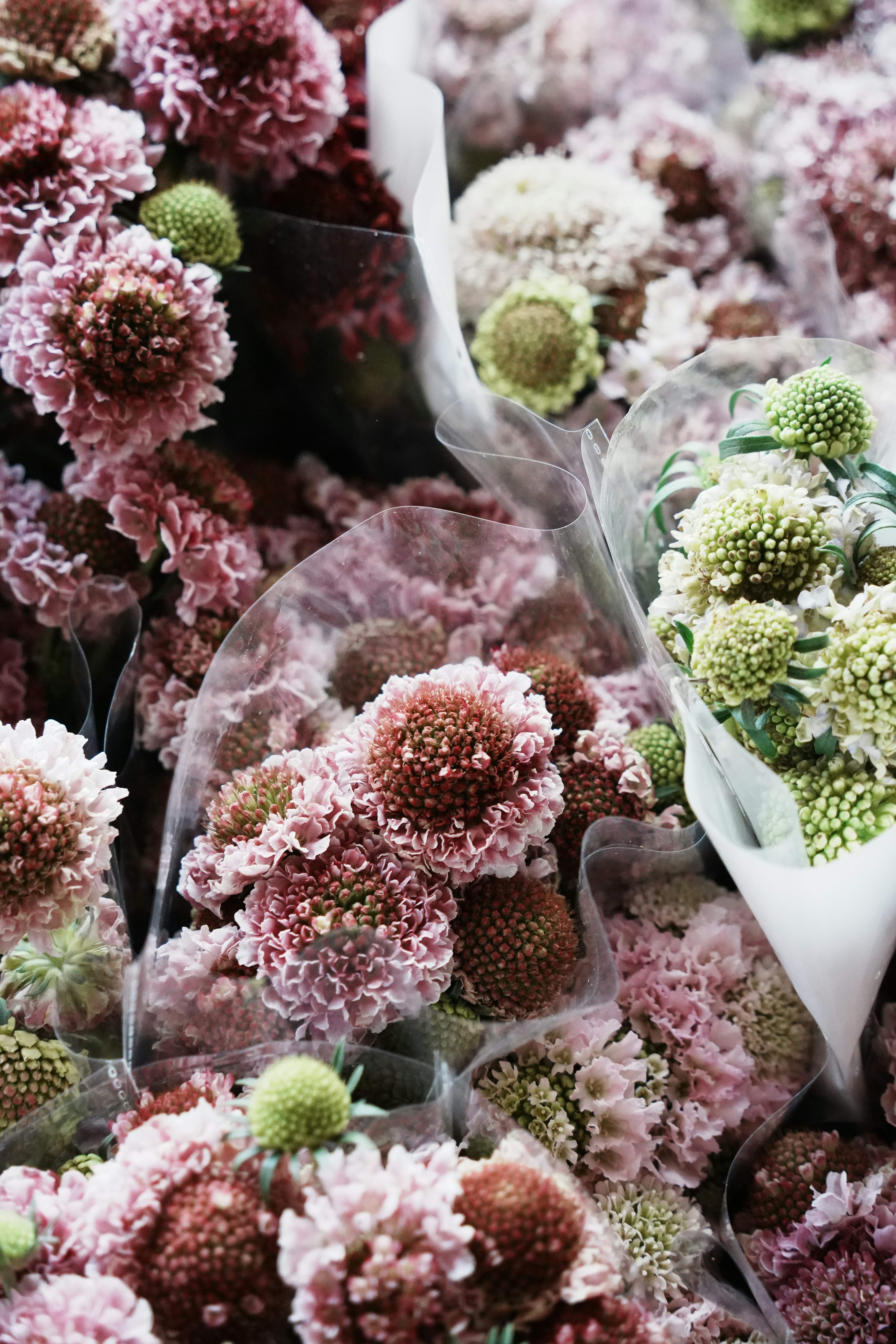 Petal Mosaic: Wrapped Chrysanthemum Bouquets in Pastel Pink and Green
