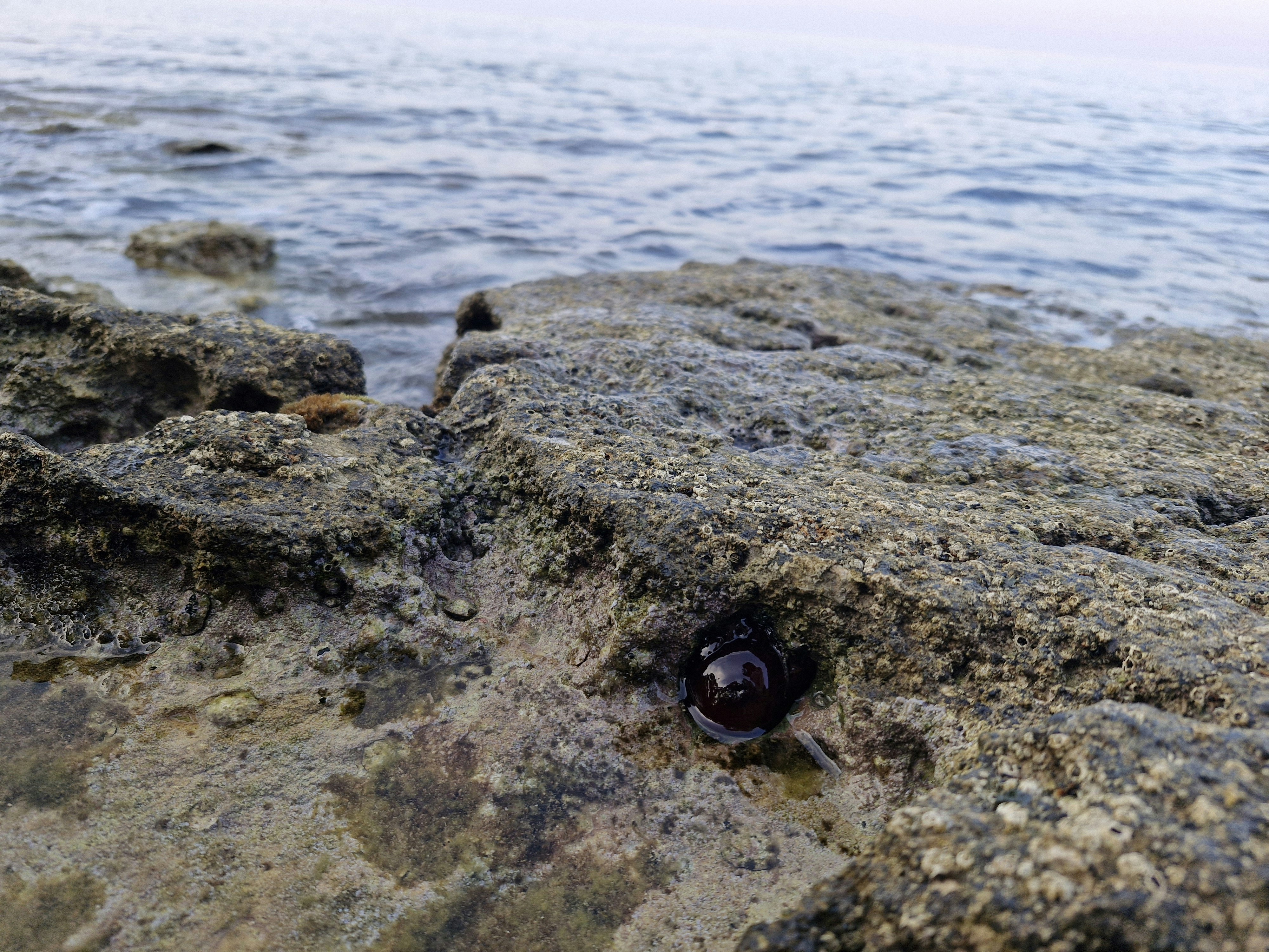 Close-up of a rugged rock surface with a glossy black orb nestled in a crevice, with the sea visible in the background.