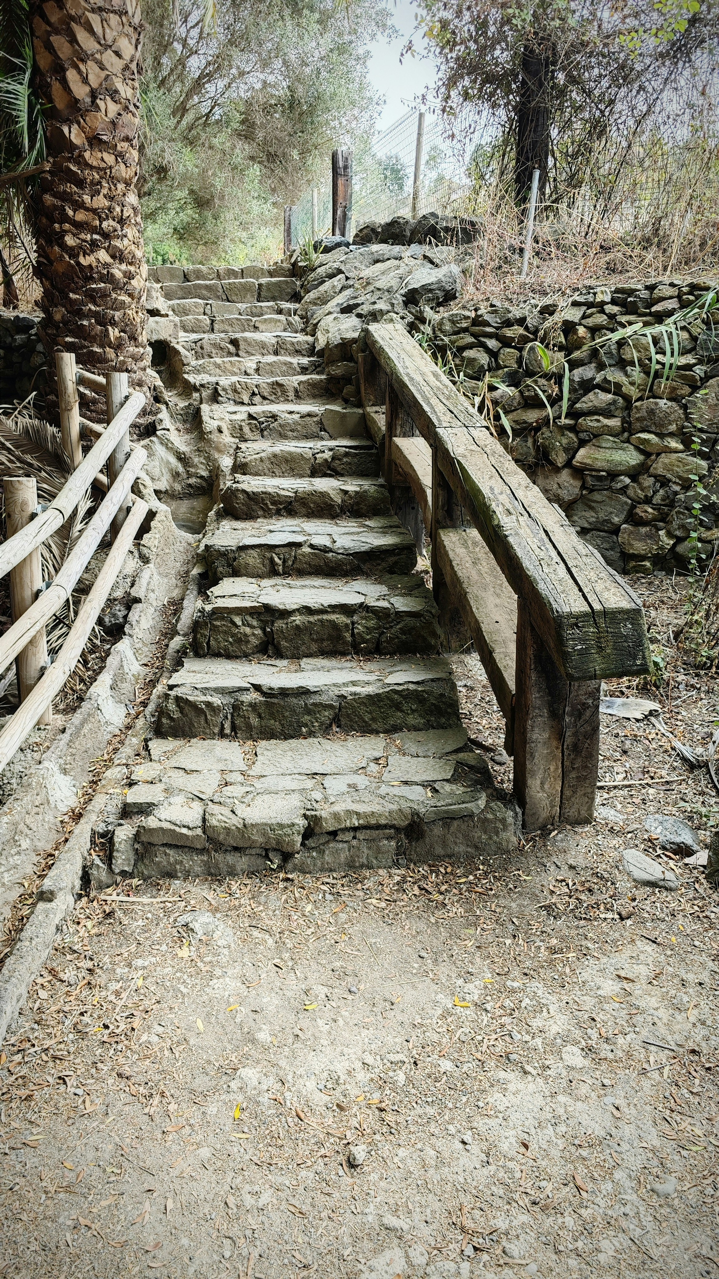 Photo by Nuria E Rodríguez with Xiaomi 14 Ultra