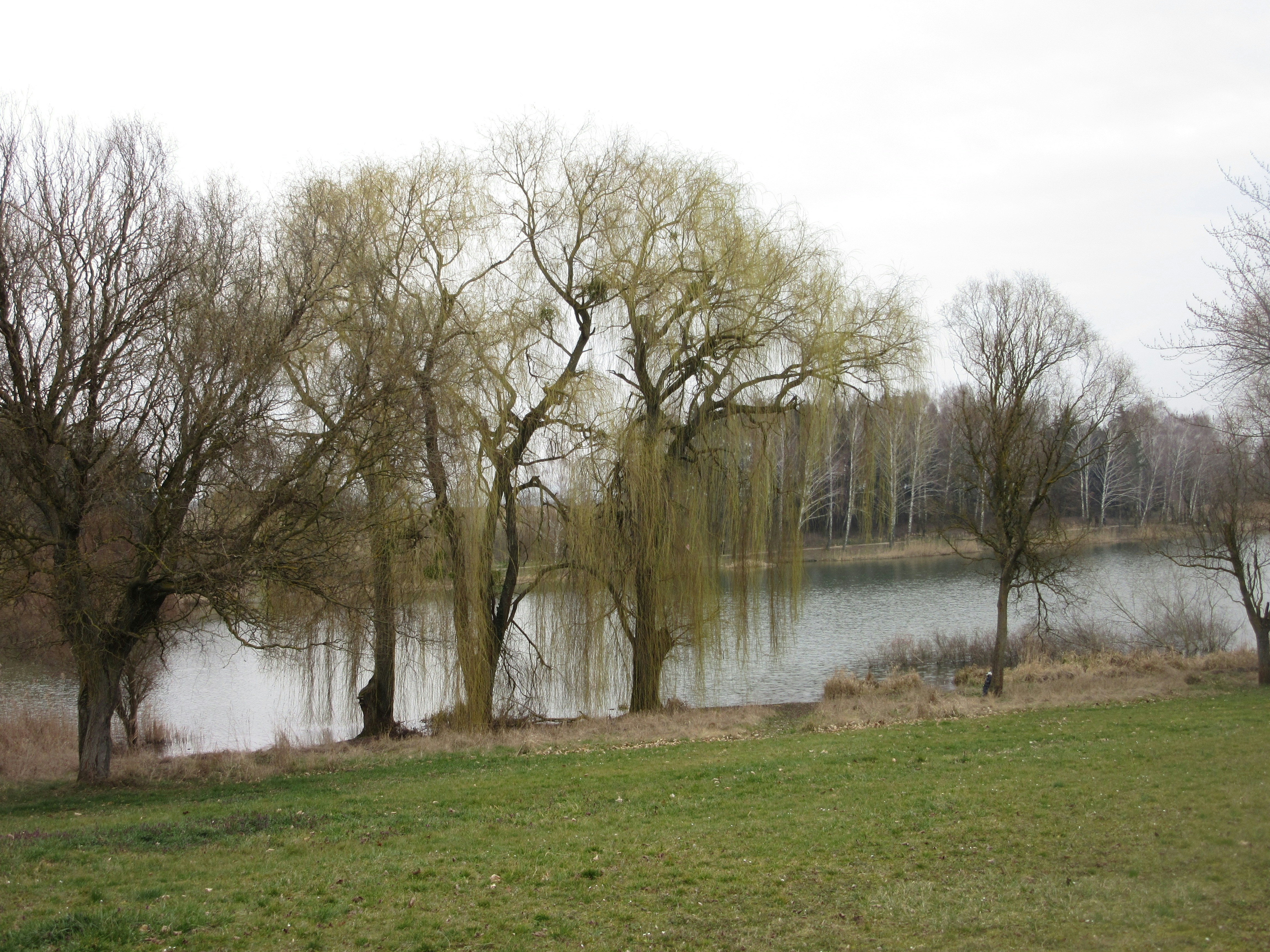 Photo by Balint Miko with Canon PowerShot SX600 HS