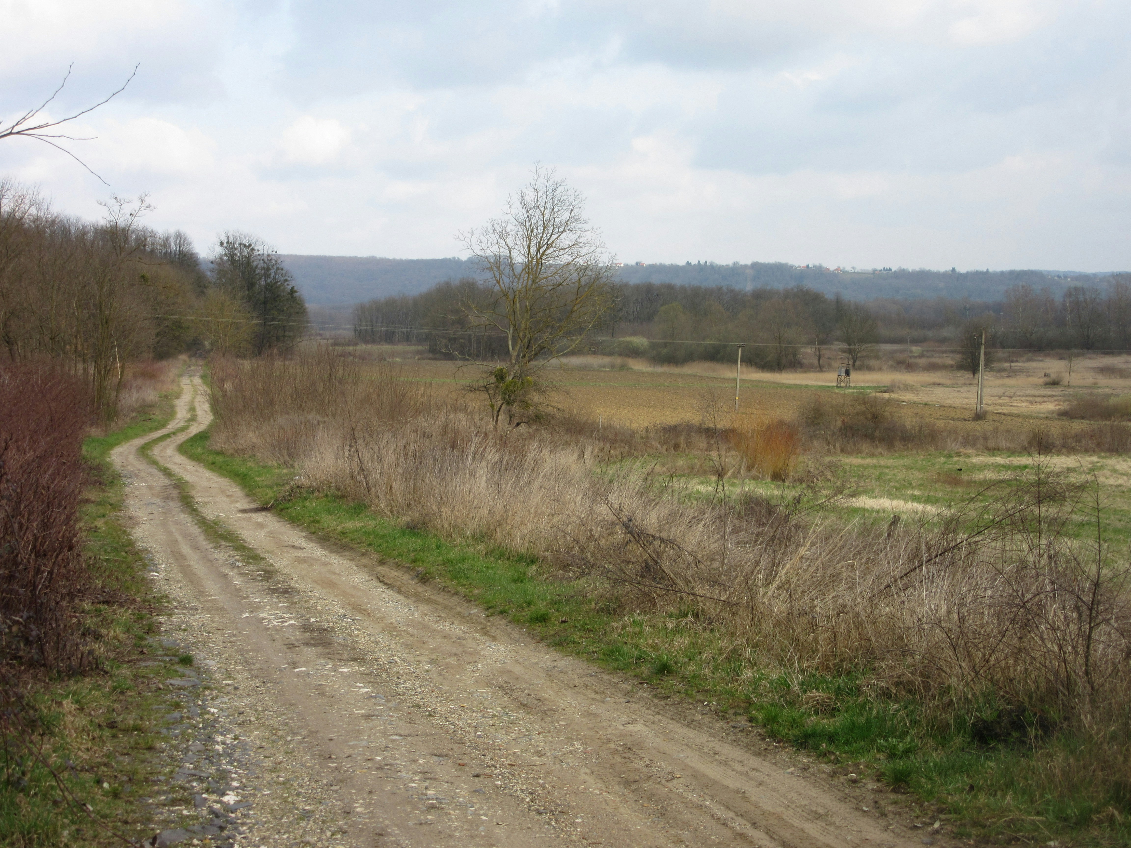 Photo by Balint Miko with Canon PowerShot SX600 HS