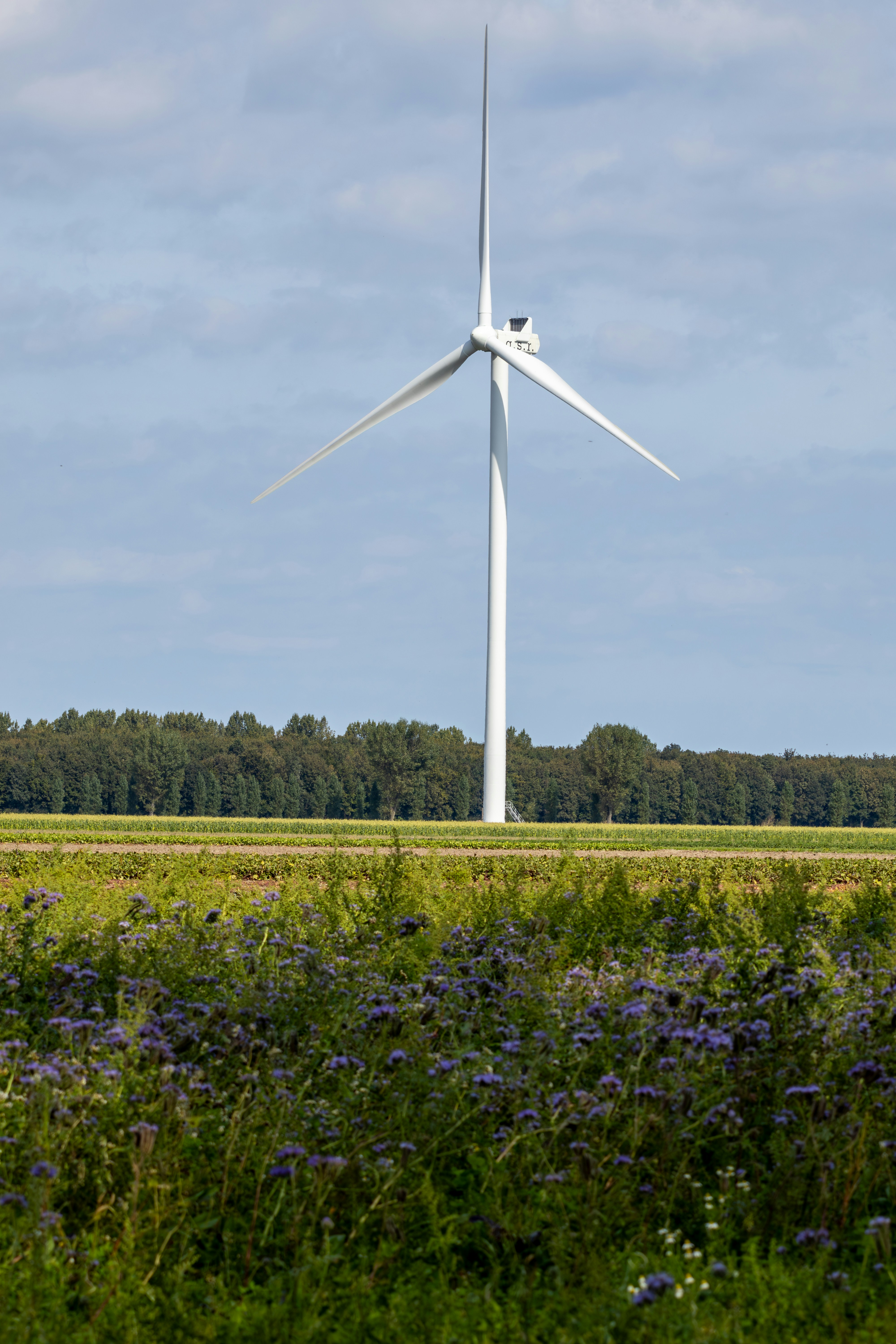 A wind turbine in the middle of a fieldHendrik Prinsloo