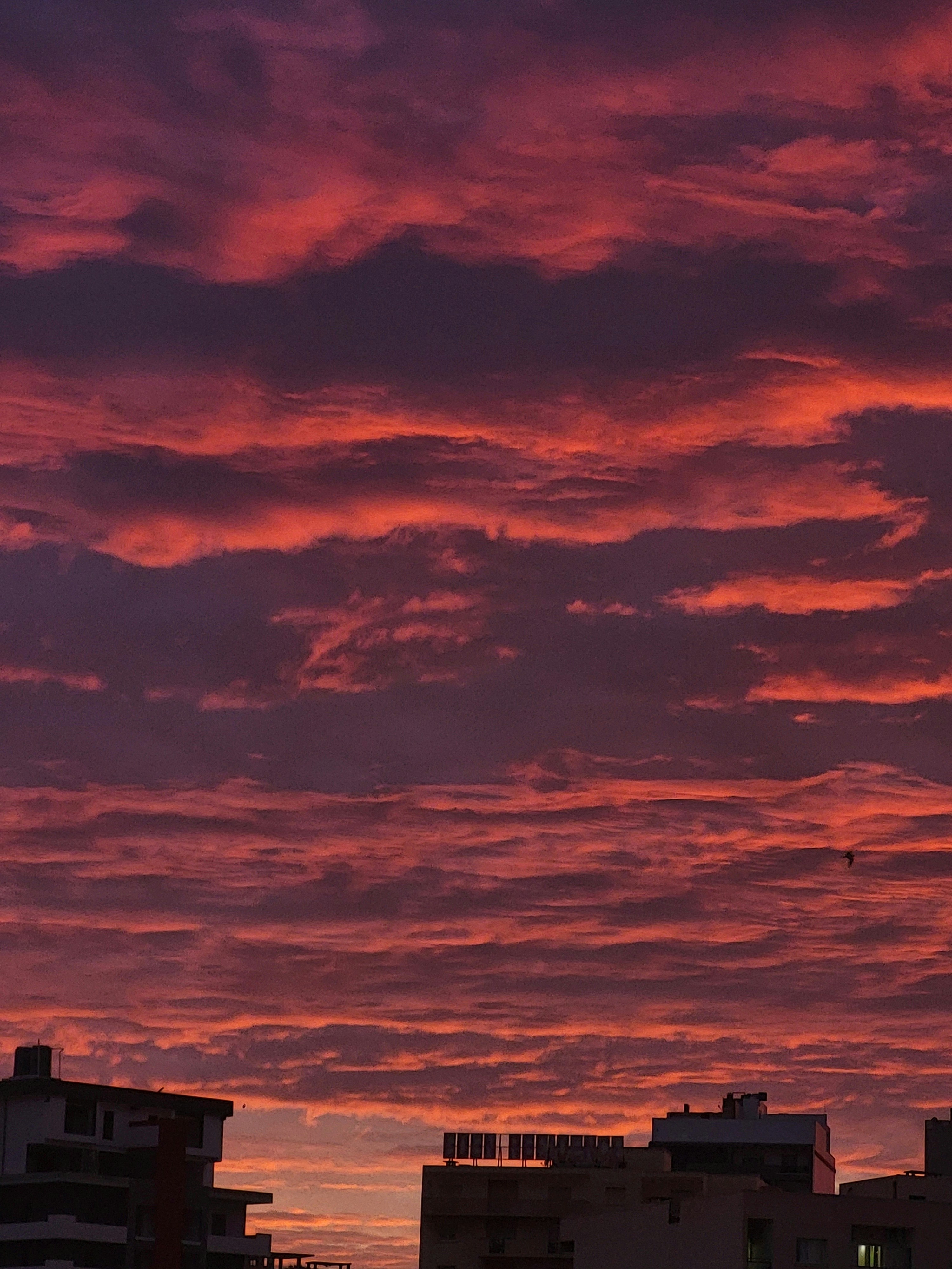 Photo by Alaa Mkbs with Samsung Galaxy S21 FE