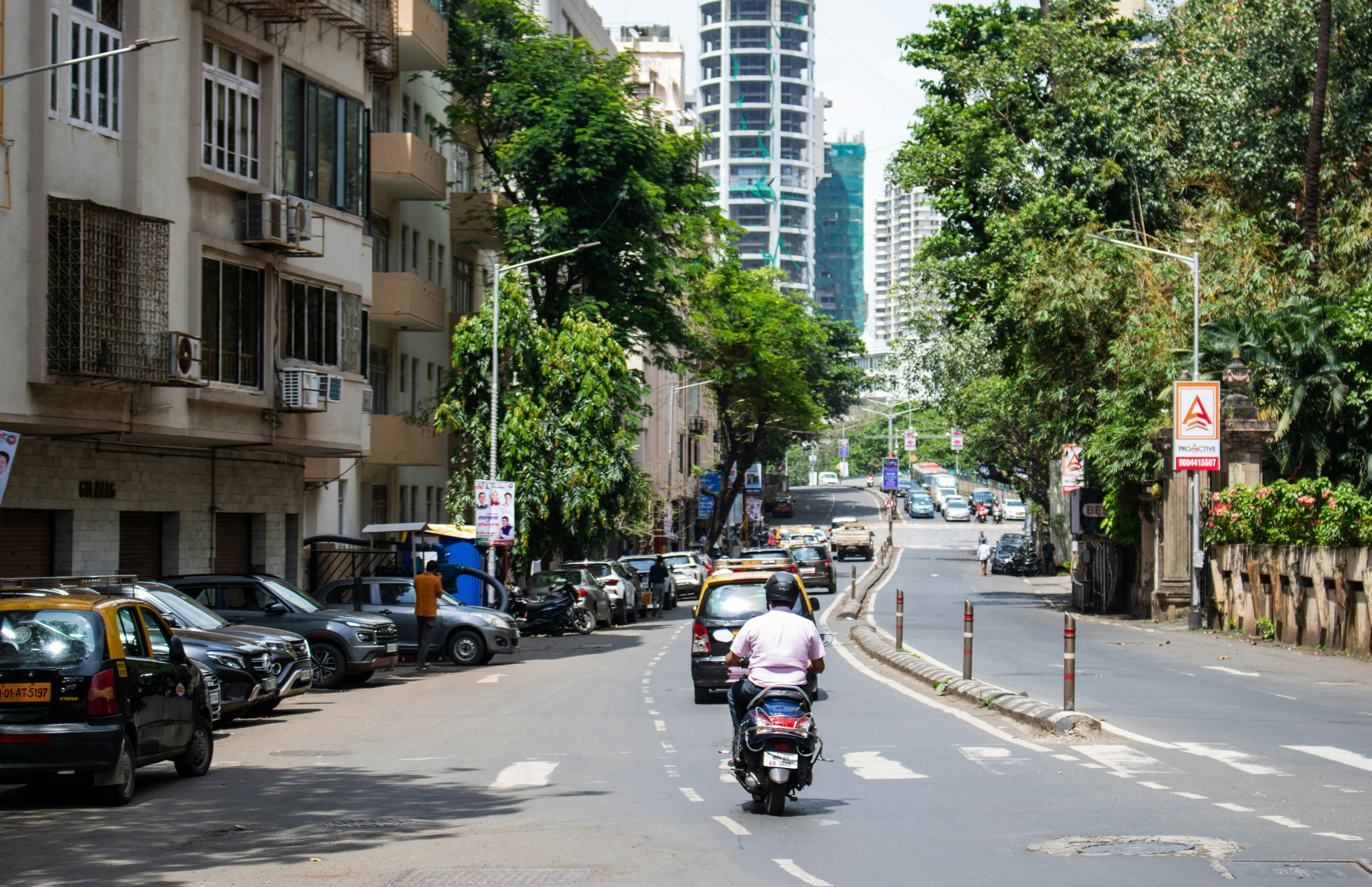 Motorcyclist navigating a tree-lined street flanked by tall buildings on a sunny day.