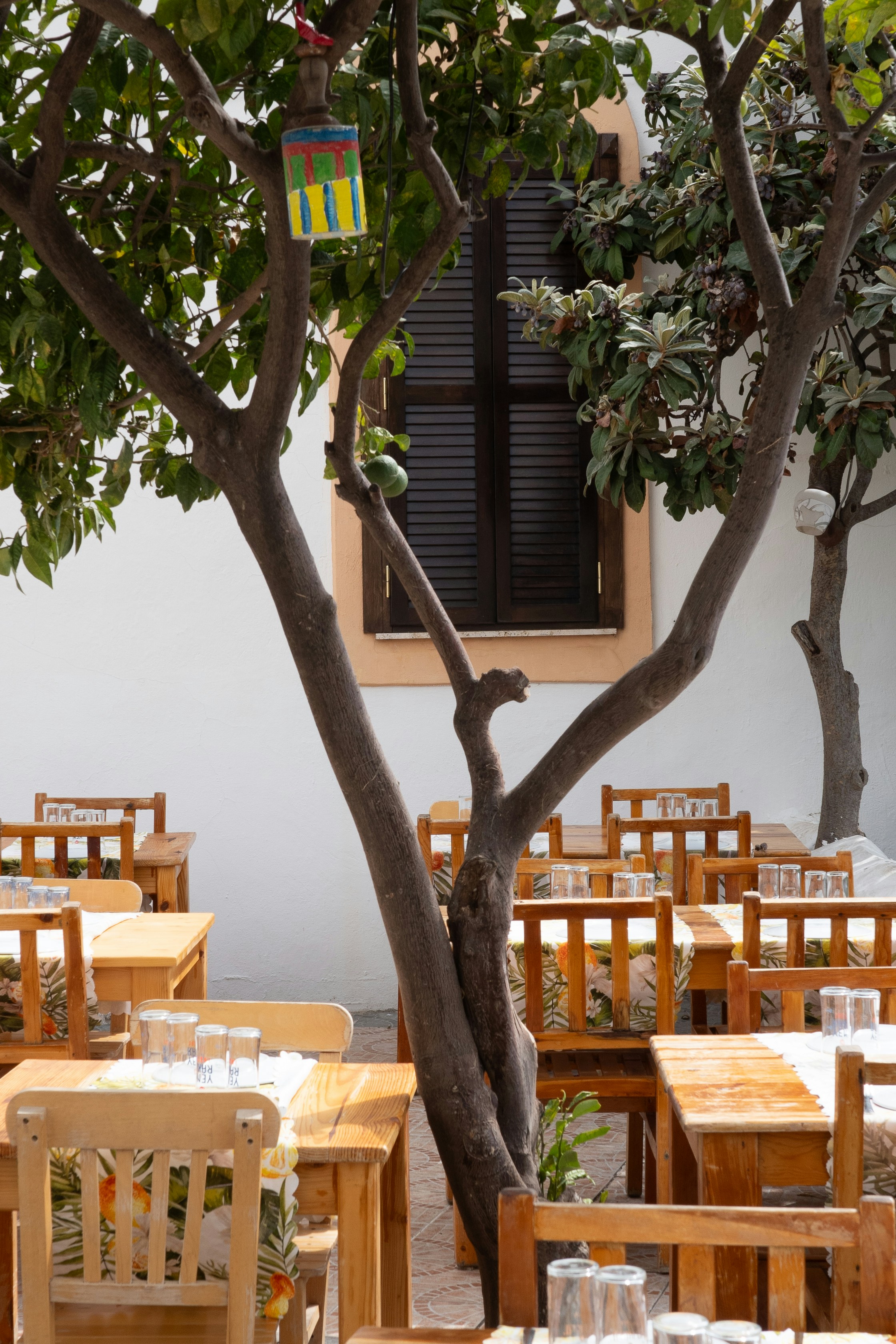 A restaurant with tables and chairs under a tree photo – Free Kaş Image ...