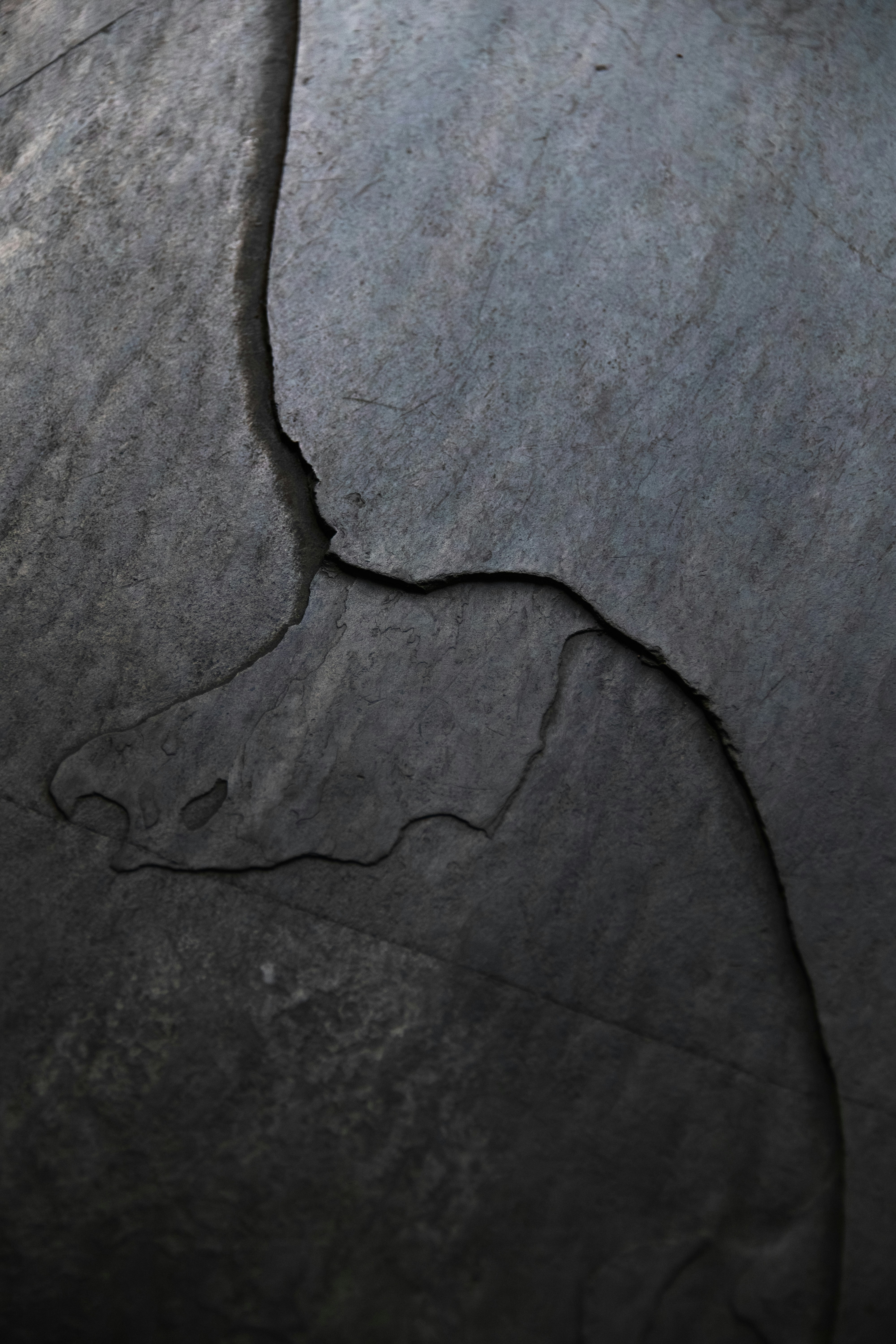 Whispers of Nature: The Textured Dance of StoneFilipe Nobre