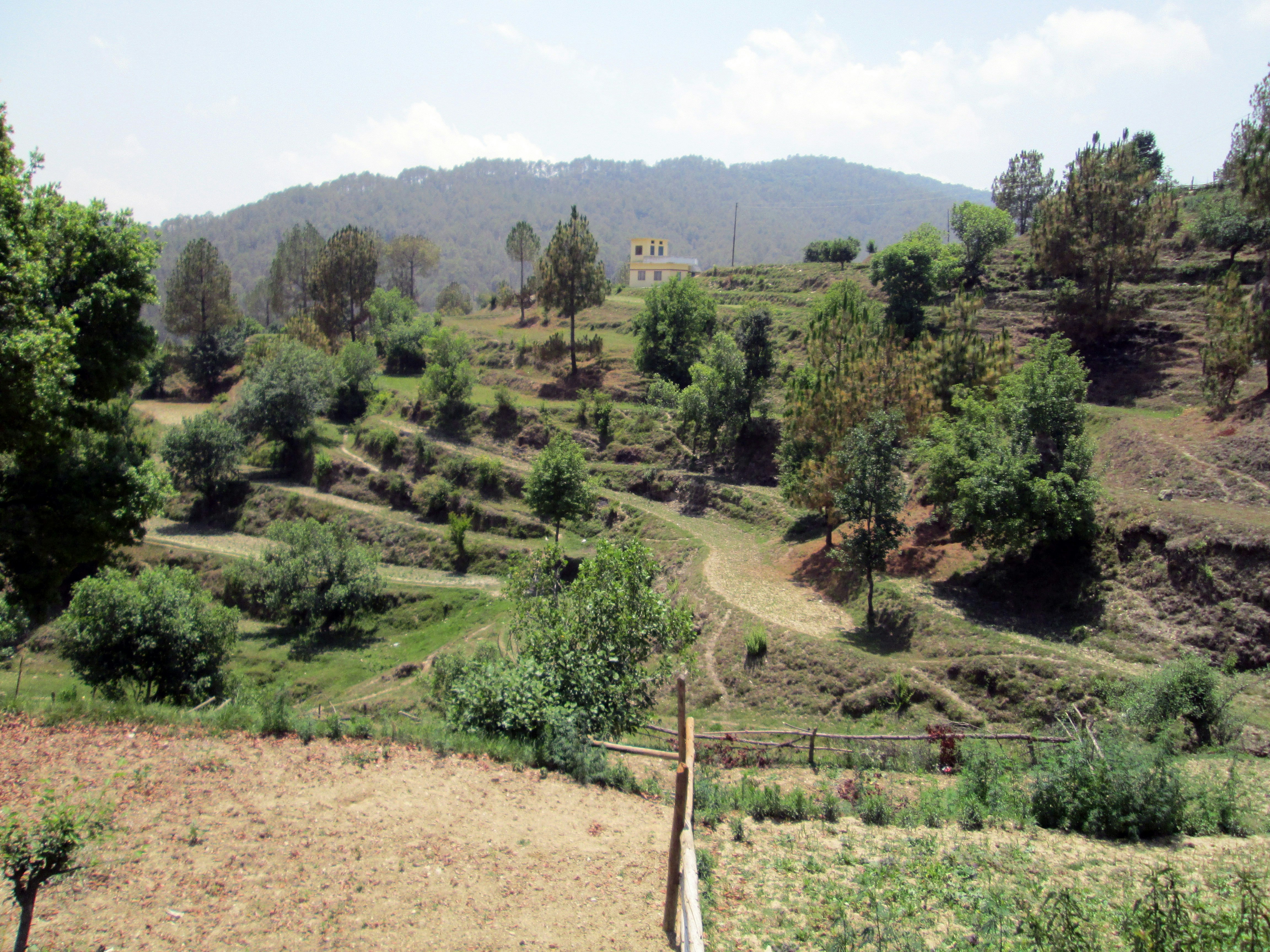 Terraced hillside farmland with a winding dirt path, scattered trees, and a distant hilltop building under a clear blue sky.
