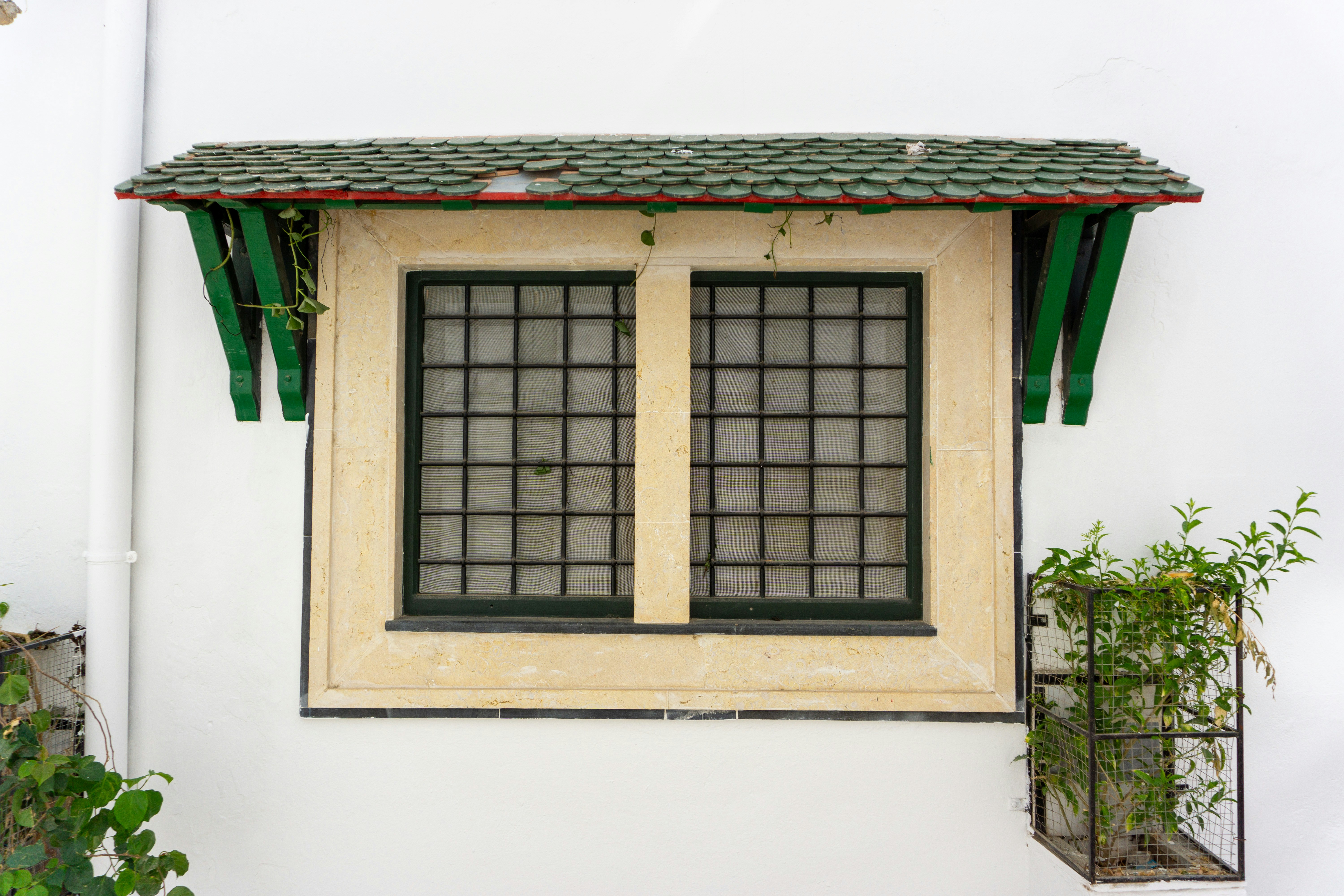 Photo by Brahim Guedich with Sony Alpha 6000