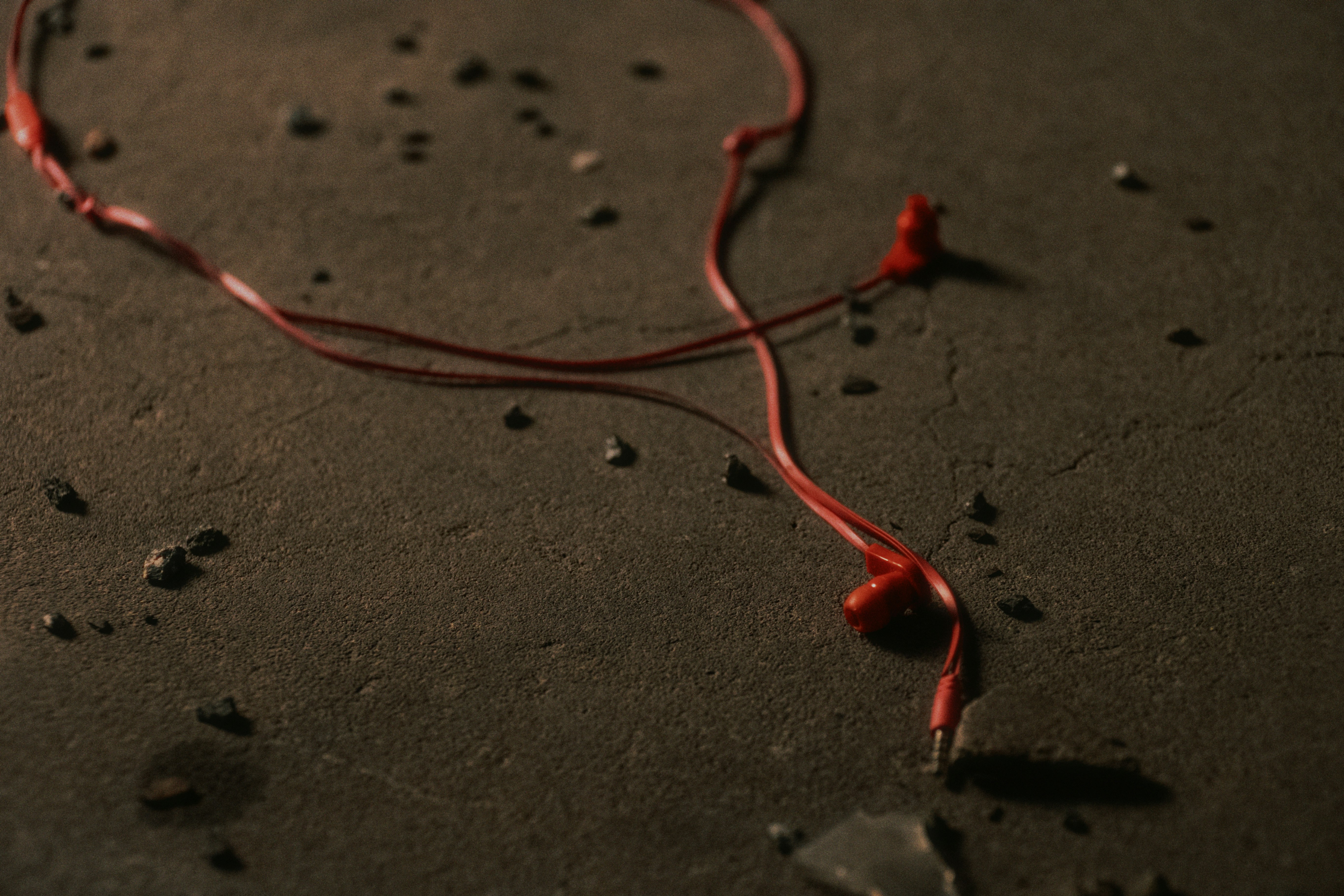 Logo De La UTM Matamoros Pictures | Download Free Images on Unsplash