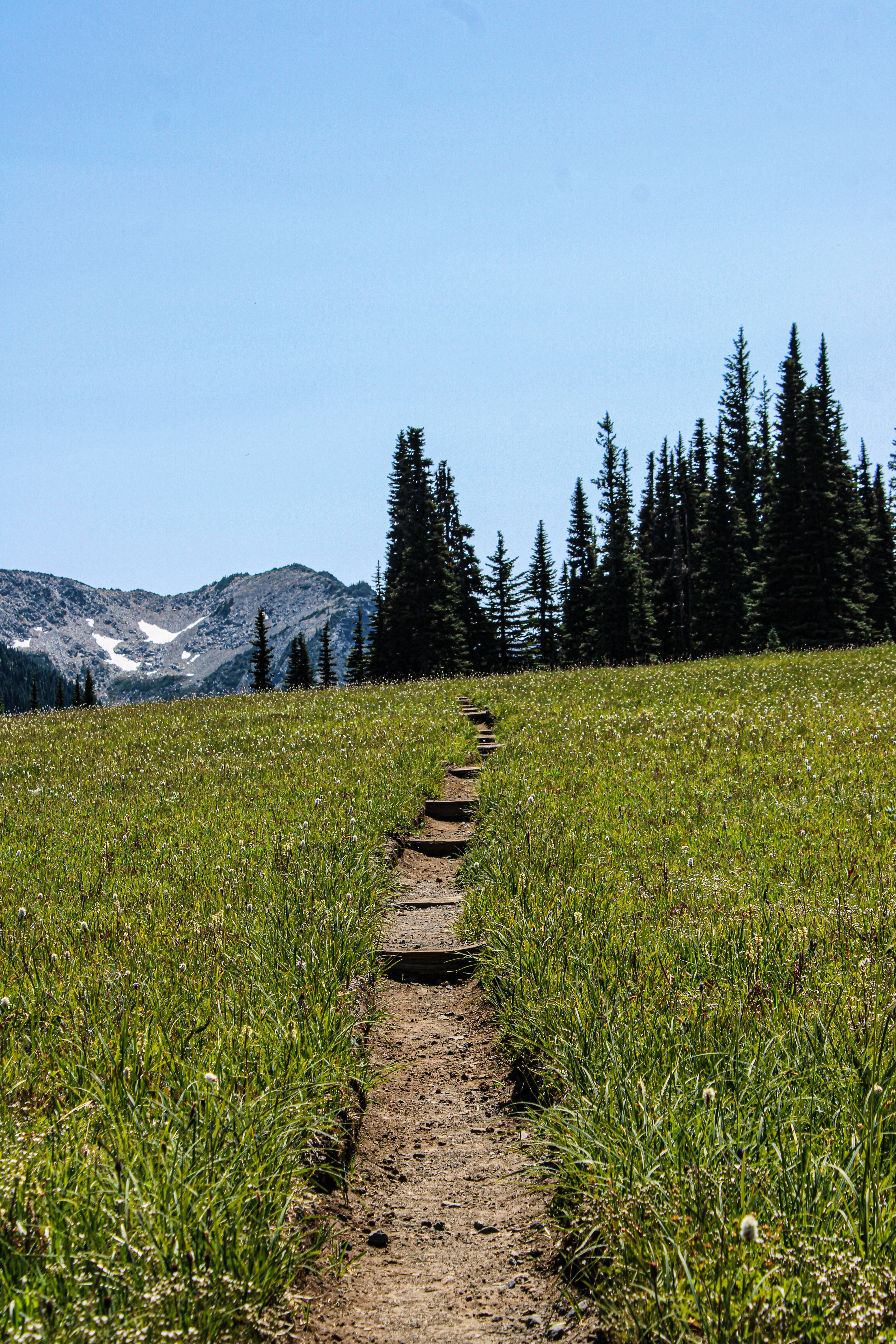 A dirt path in the middle of a grassy field photo – Free Grand park ...