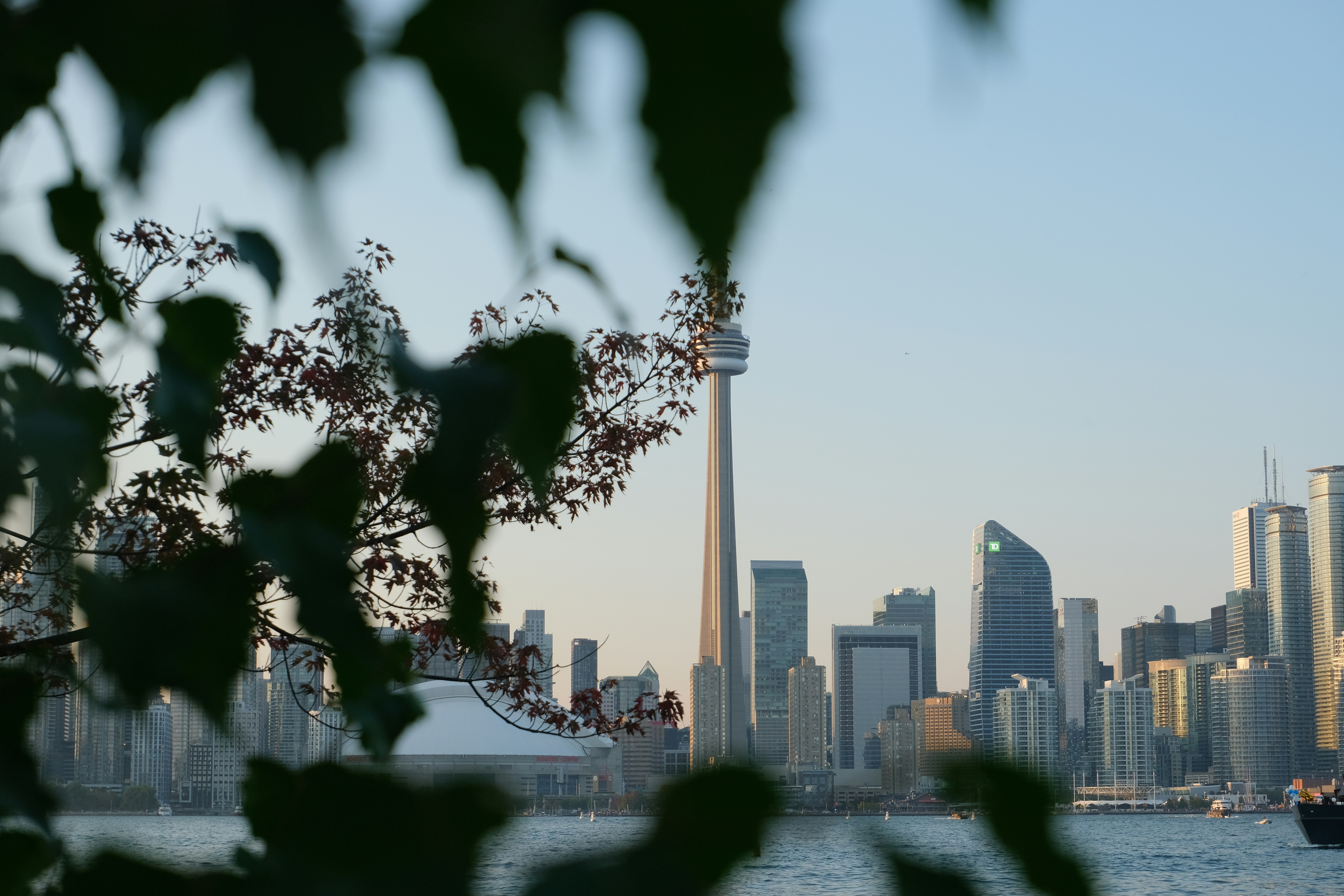 Photo by Anil Baki Durmus with Fujifilm X-T30 II