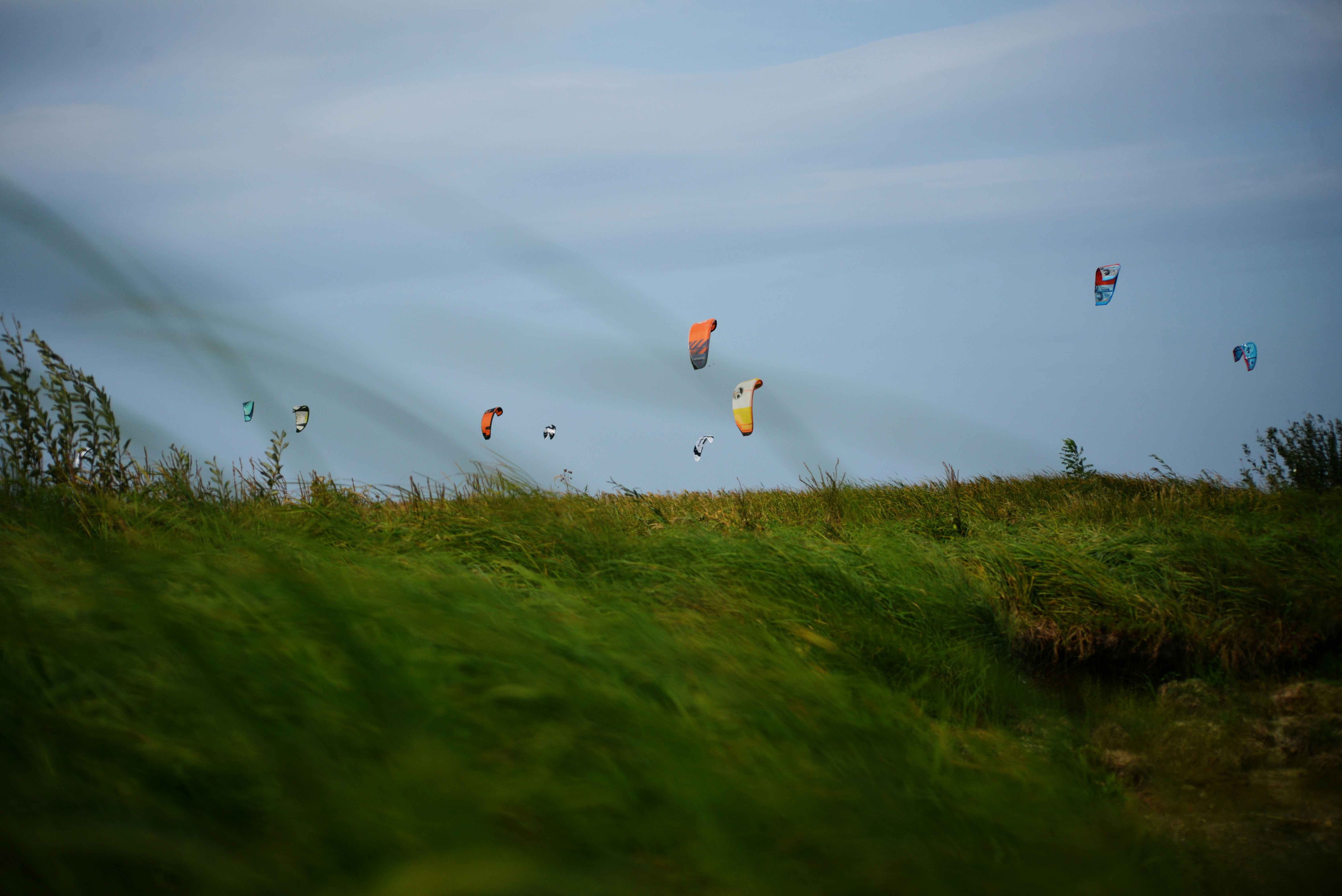Kite-sprite Dunes: A Quiet Field of Winds and Colorful Kites