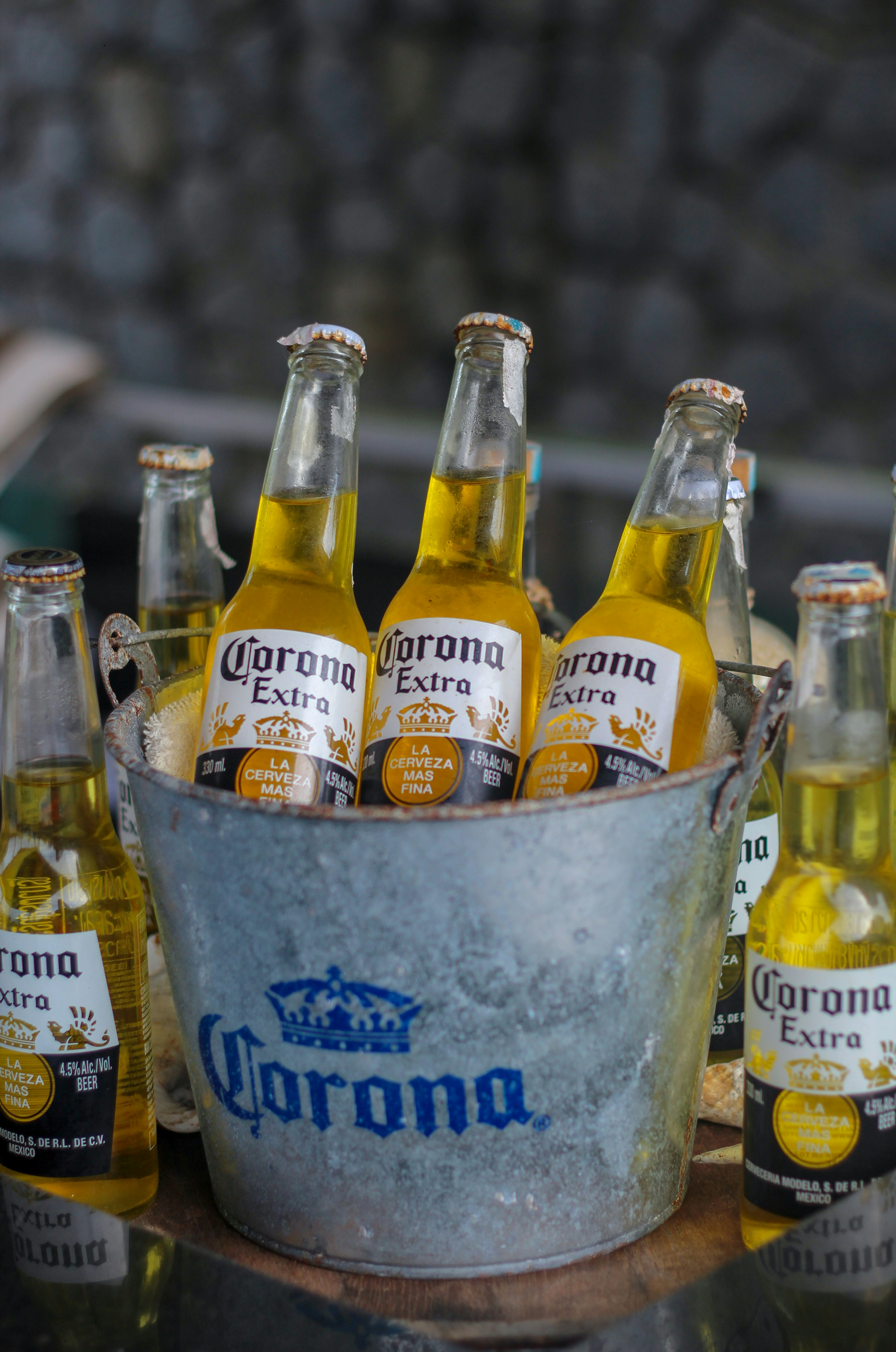 Three Corona Bottles Rise from a Weathered Ice Bucket