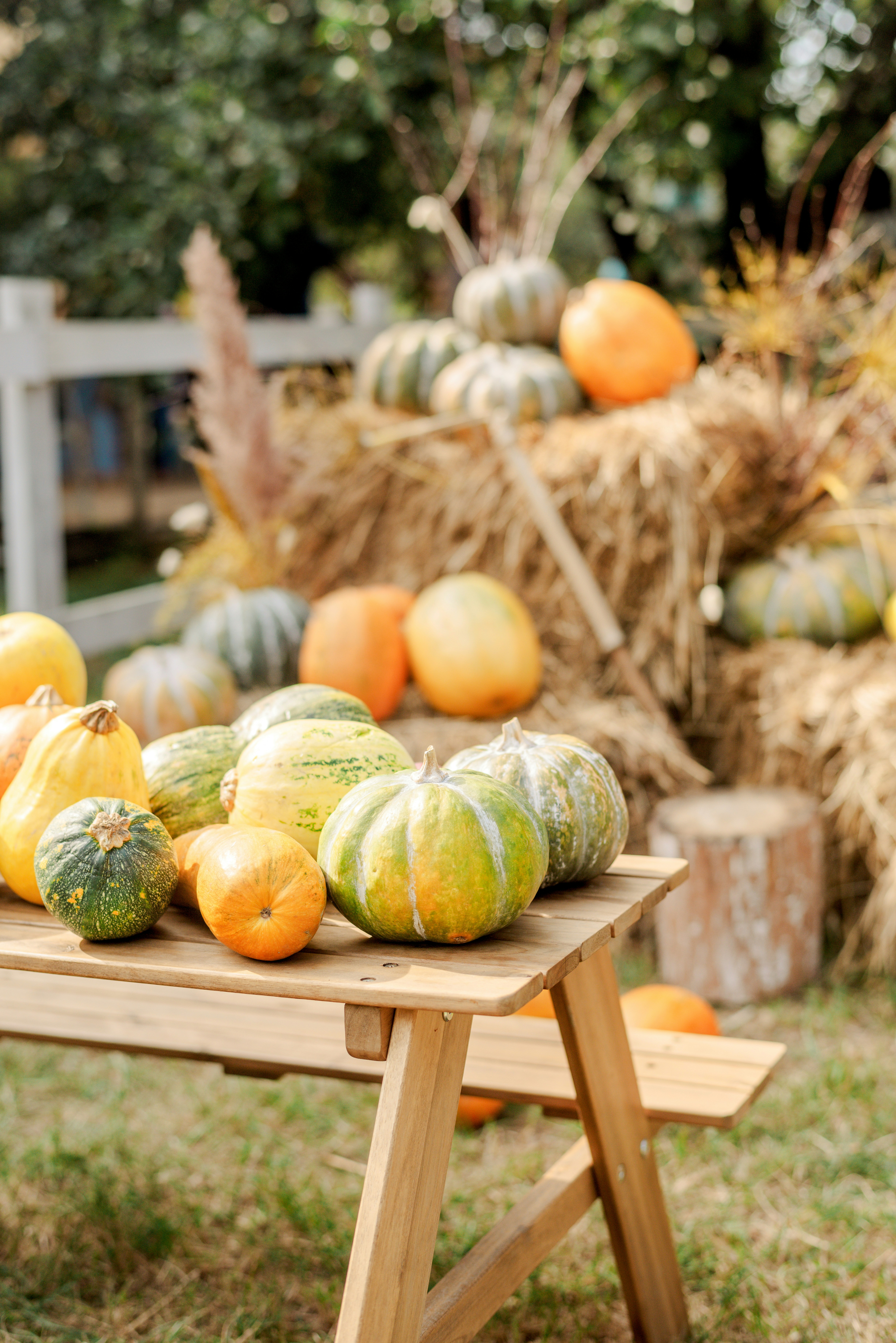 A wooden table topped with lots of pumpkins photo – Free Kitchen&garden ...