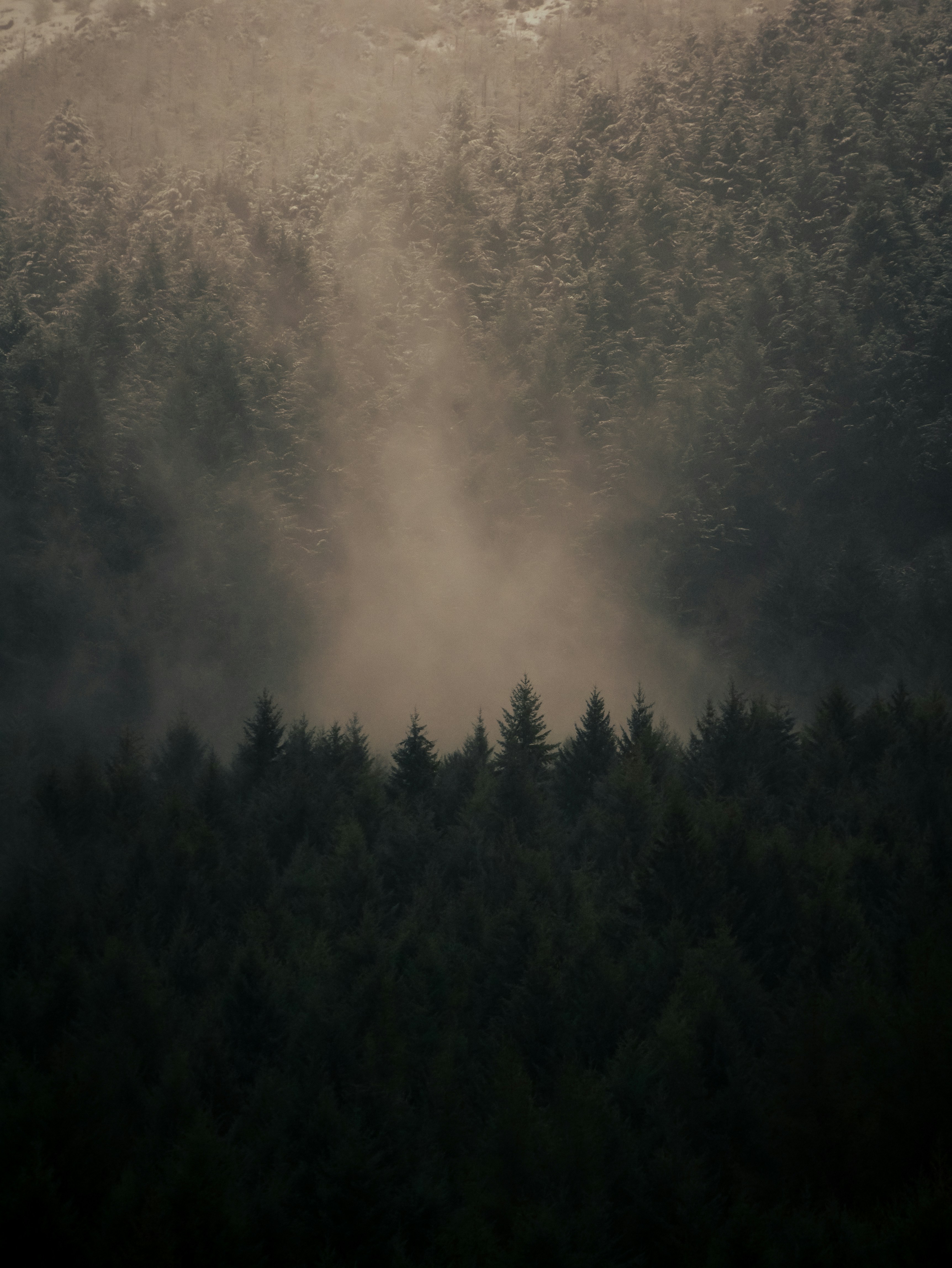 Katelyn Greer (@katelyn_g) | Unsplash Photo Community