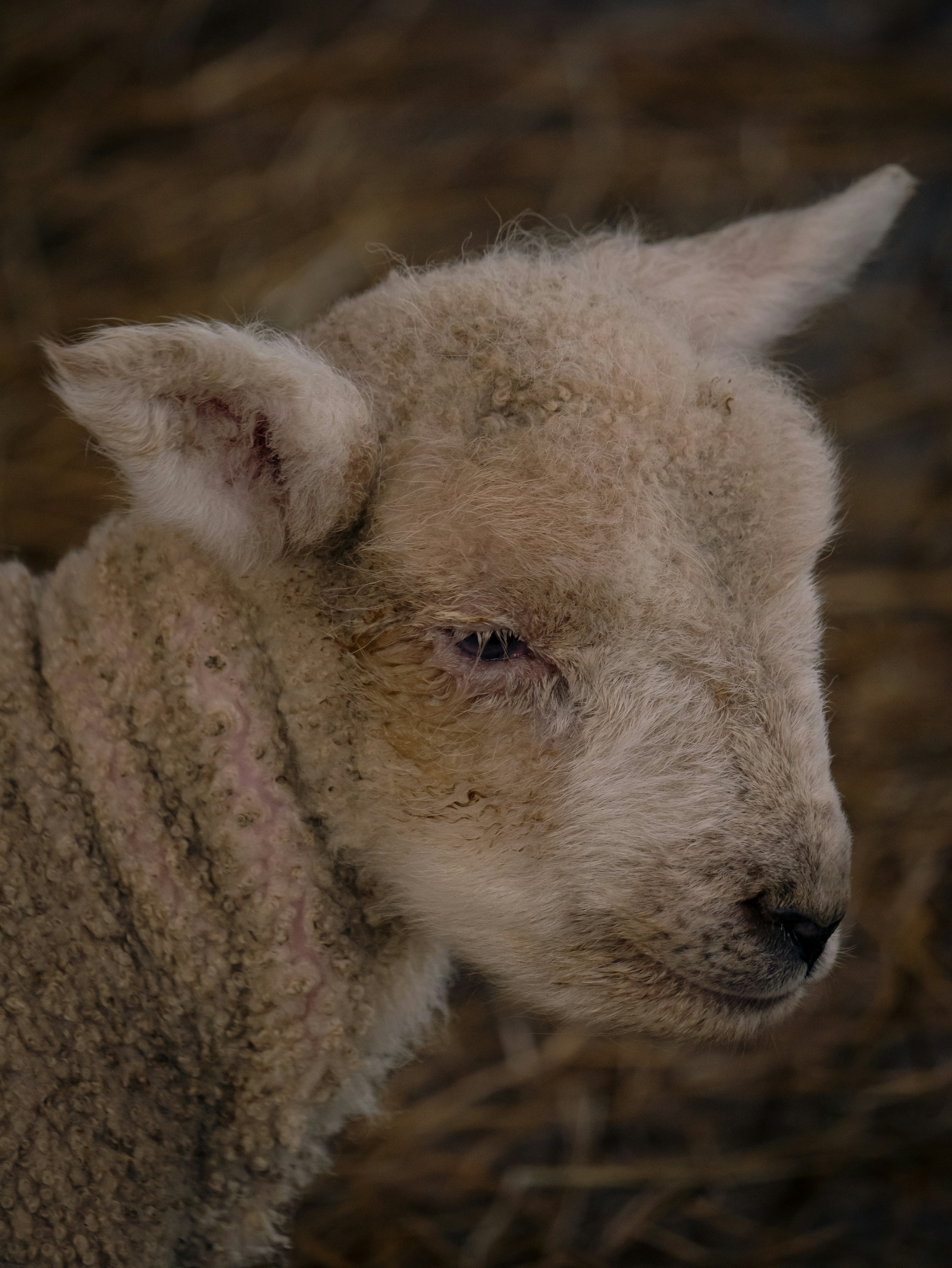 Photo by Katelyn G with Panasonic Lumix G7