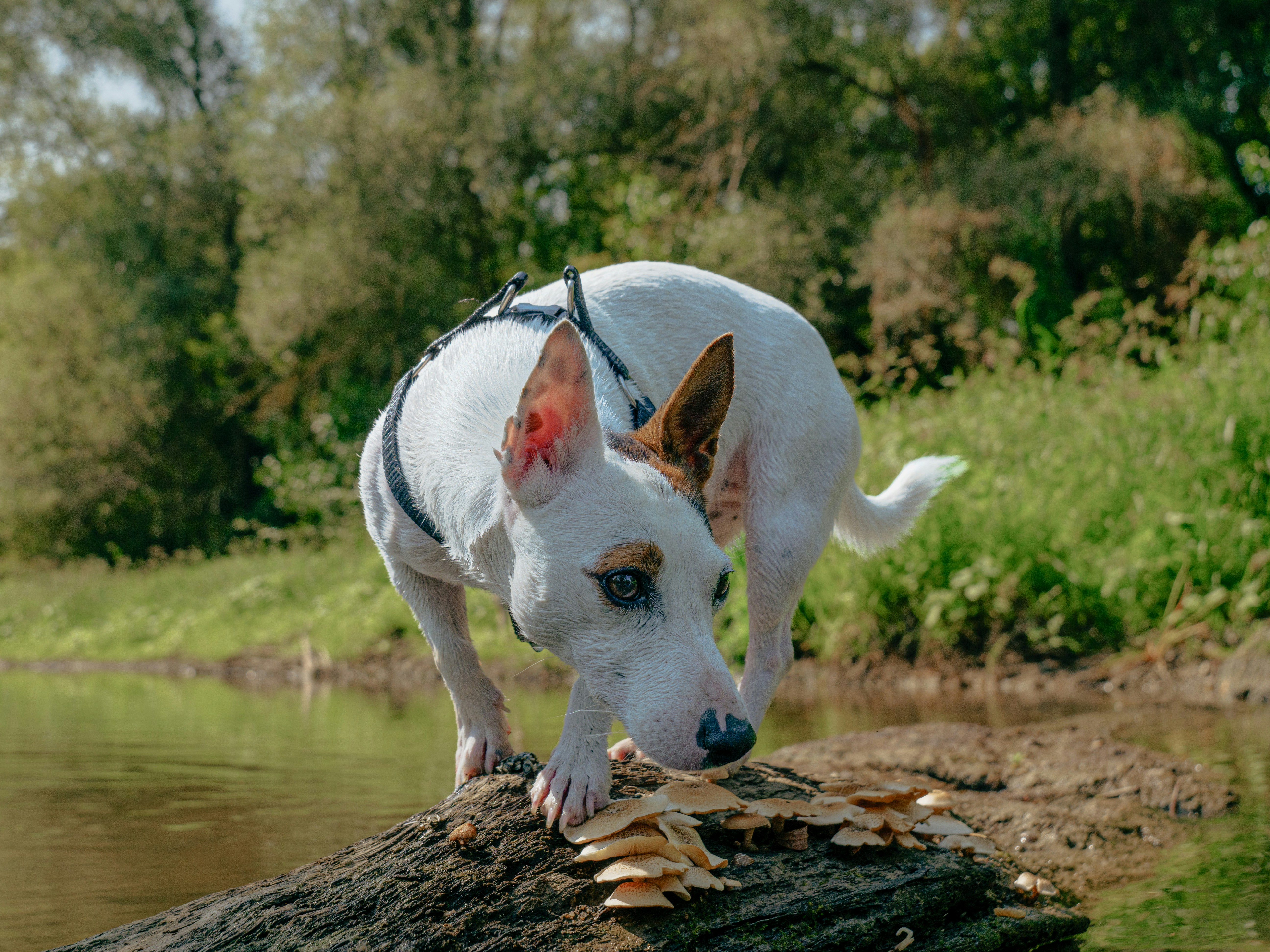 Photo by Ákos Nemes with Panasonic Lumix GH5