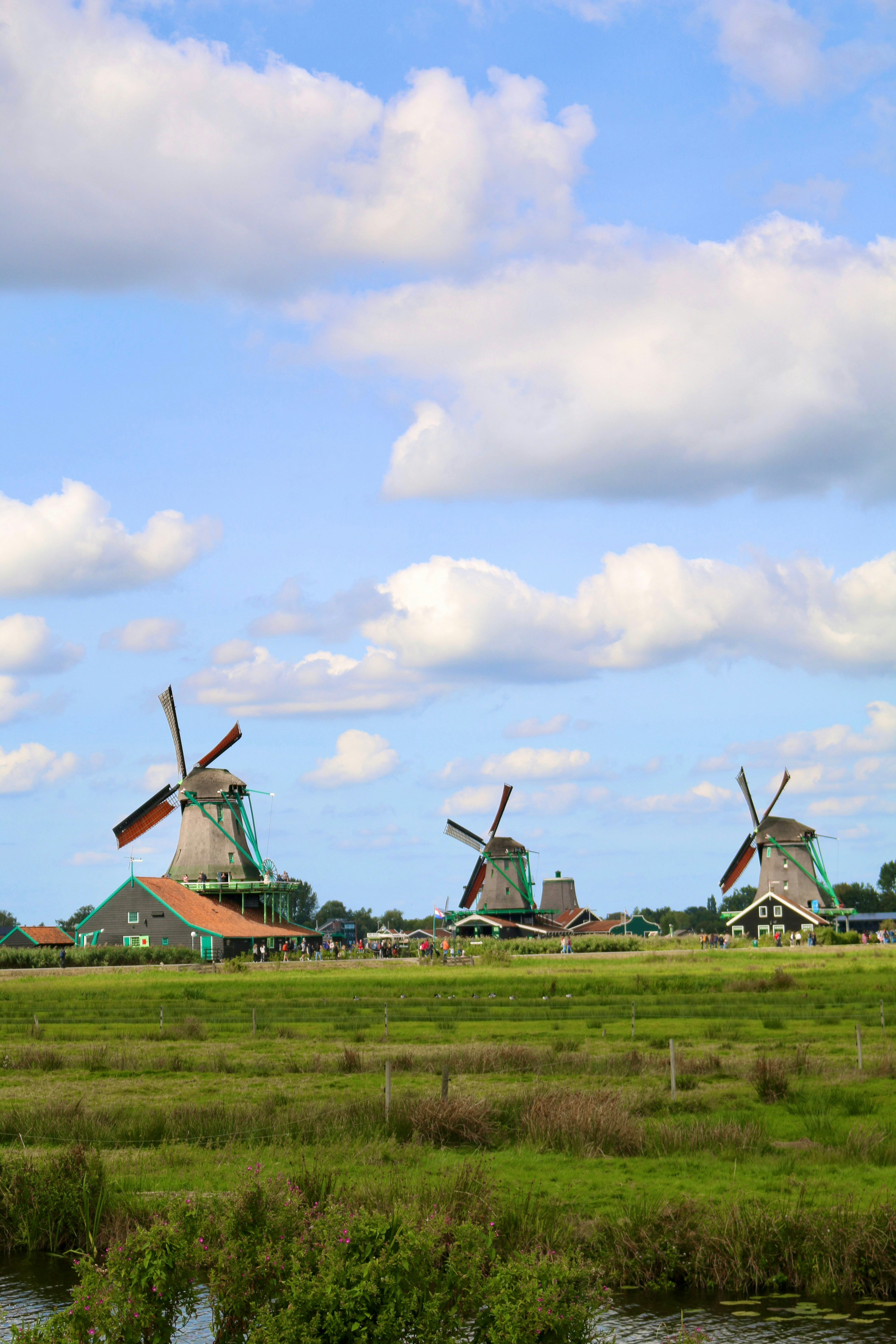 Harmony of Tradition and Nature