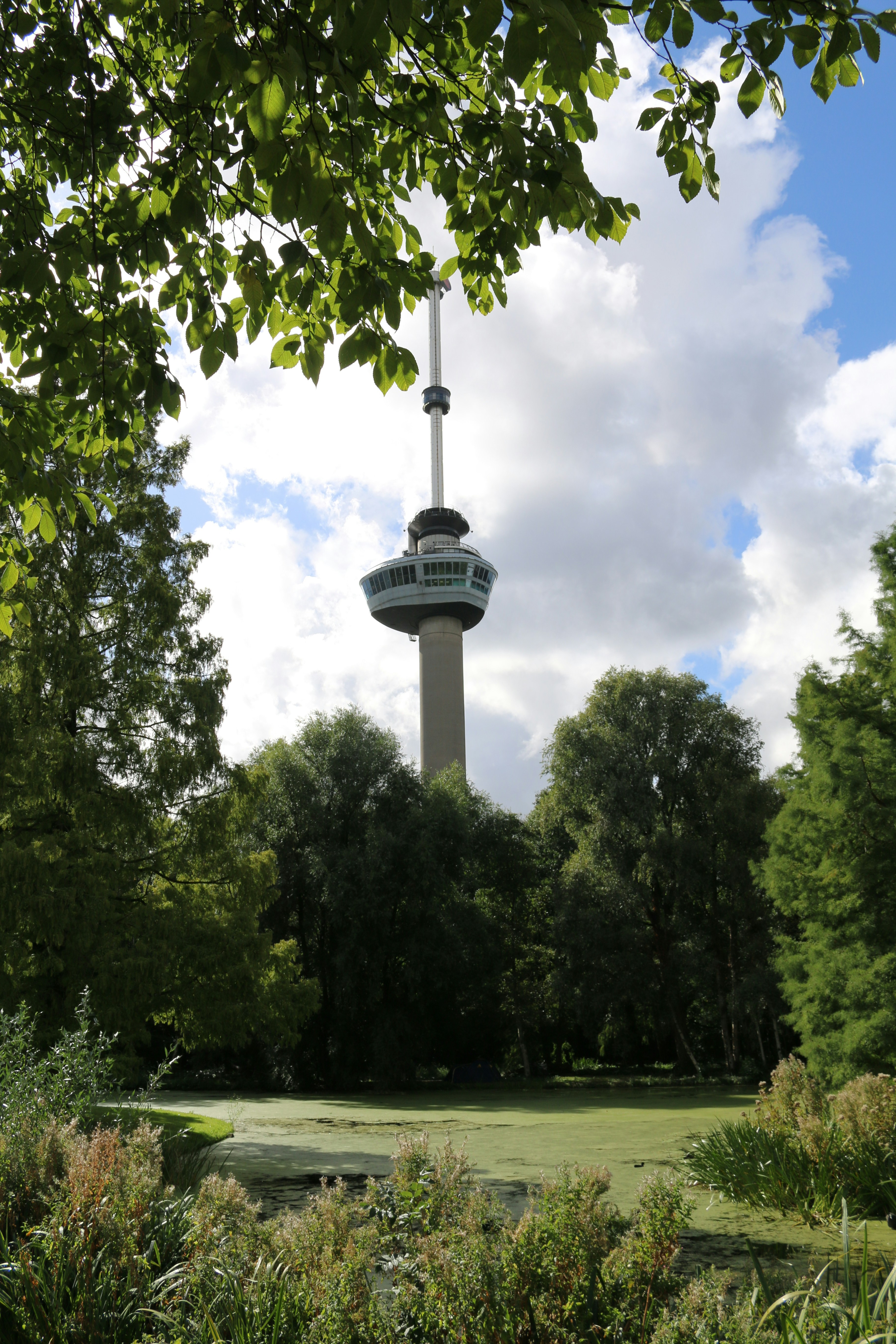 A view of a tower through some trees photo – Free Rotterdam Image on ...