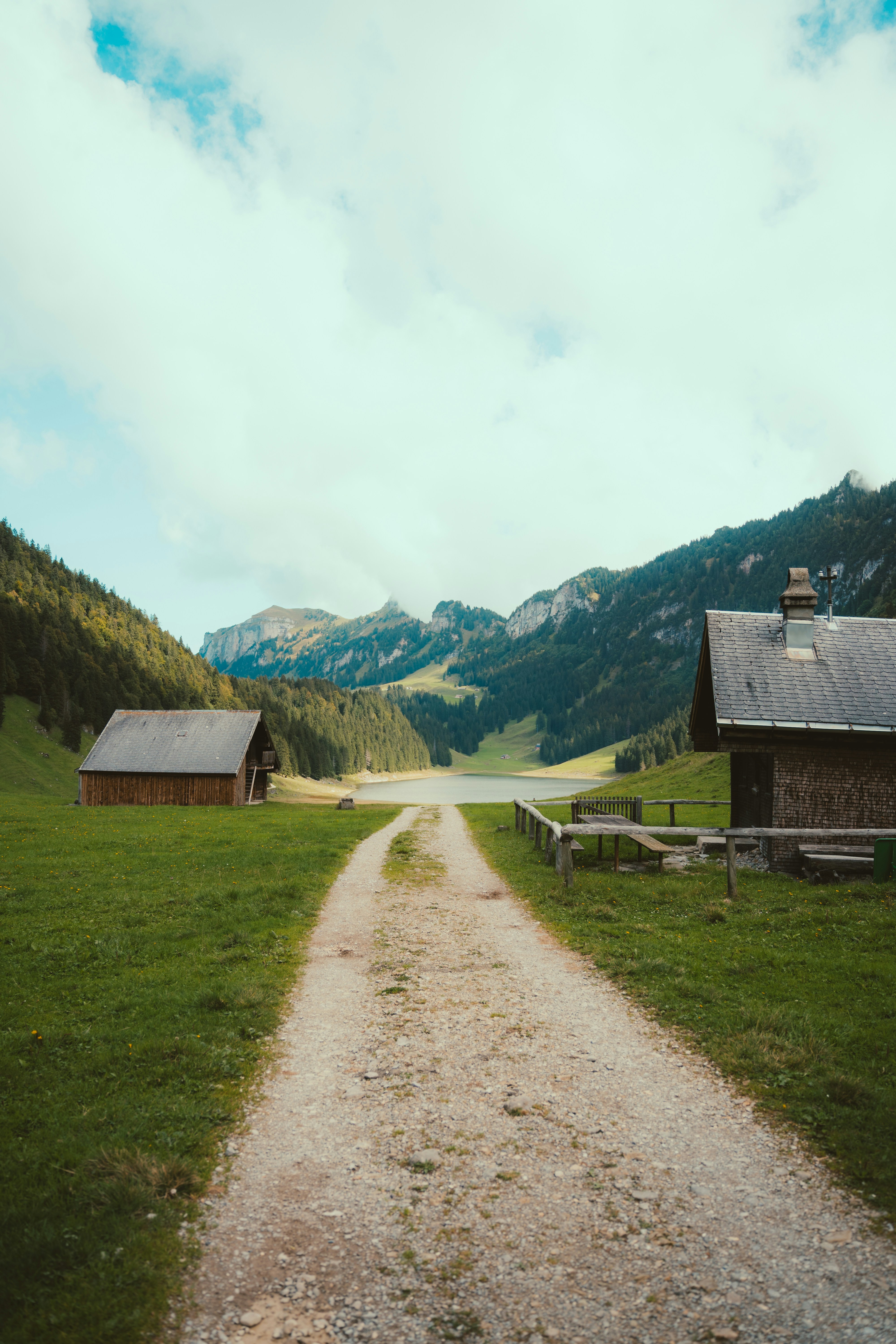 Photo by Milosz Roman with Sony Alpha 7 III