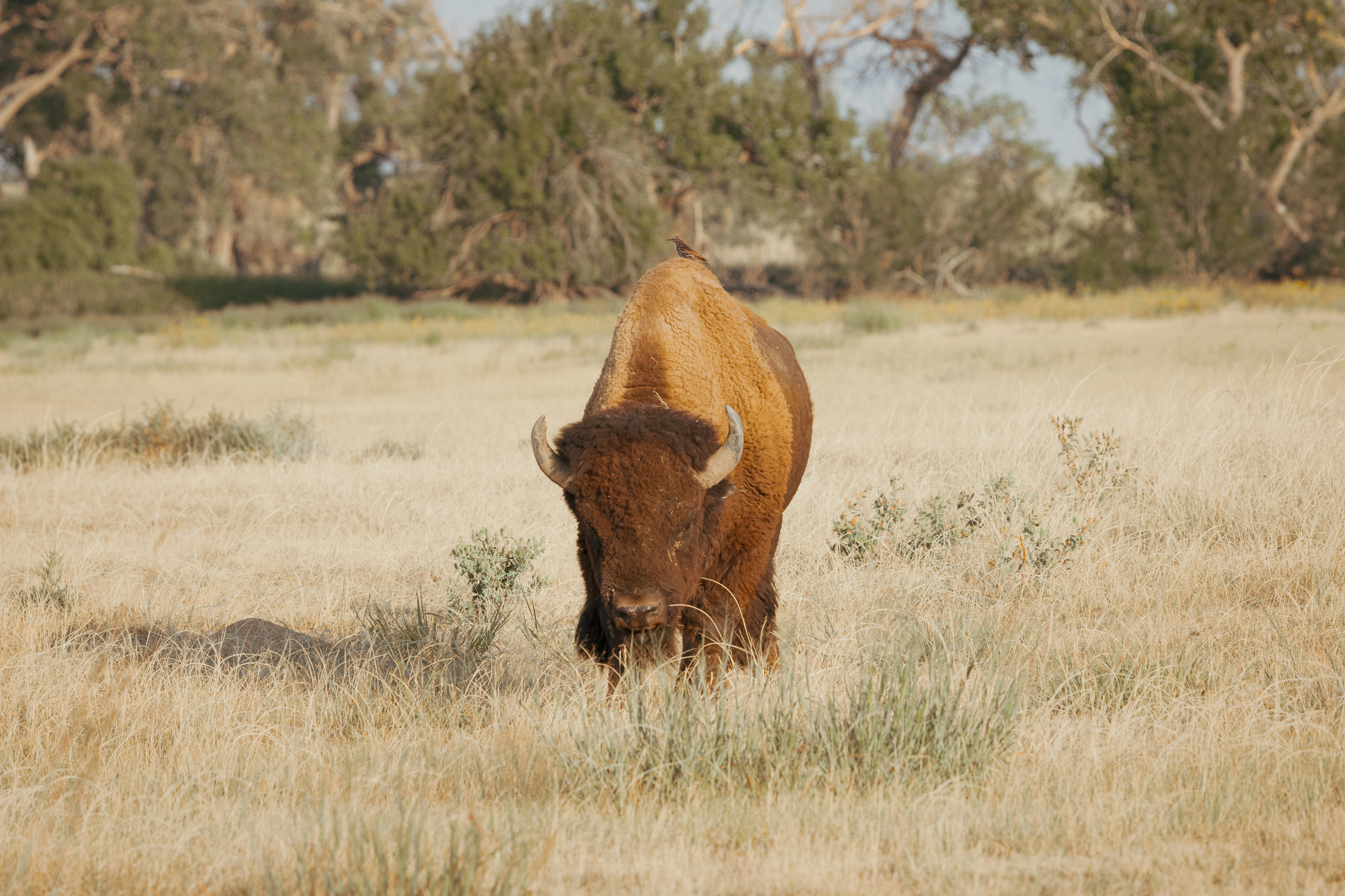 Photo by Brandon Stoll with Canon EOS R7