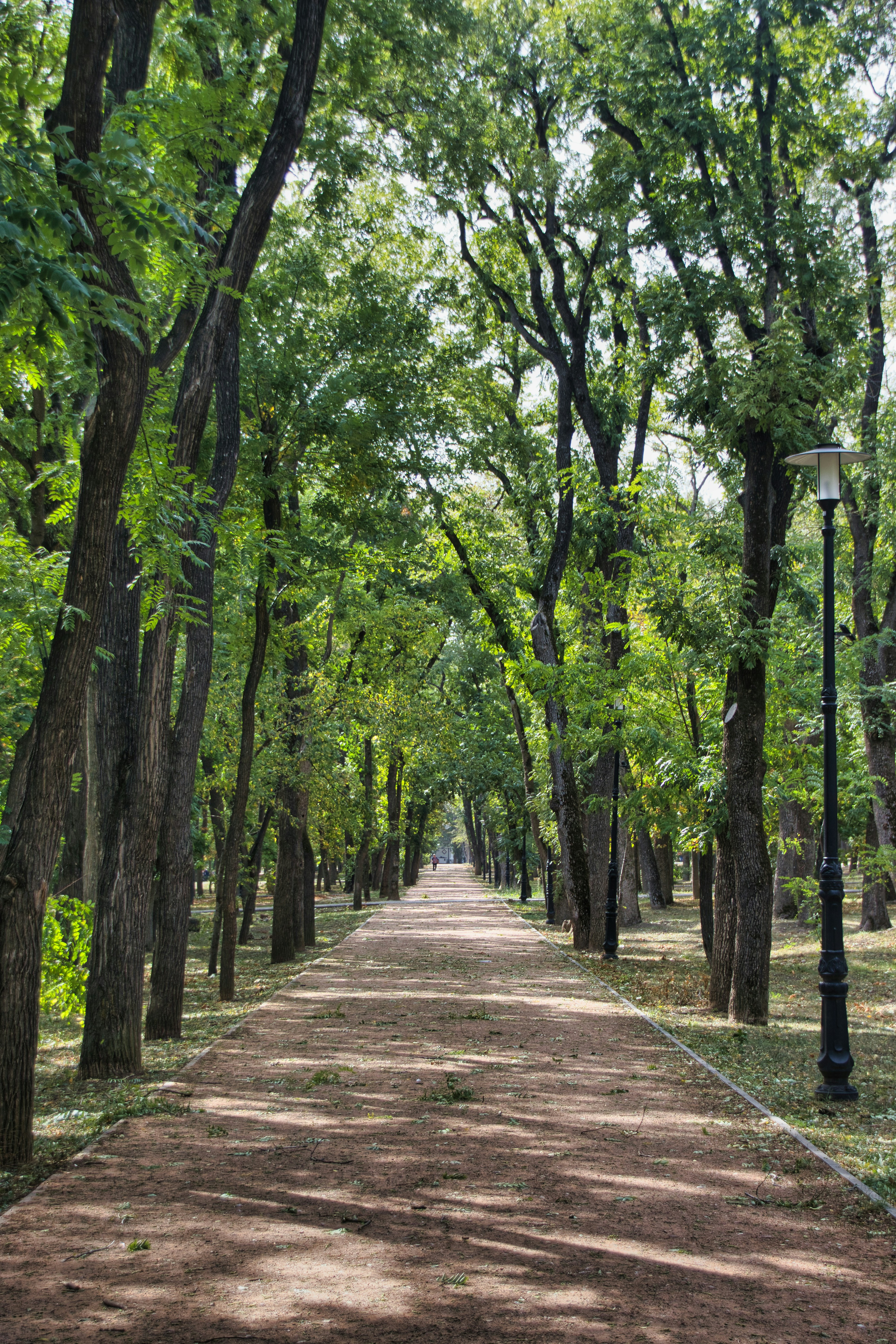 Empty path in the park