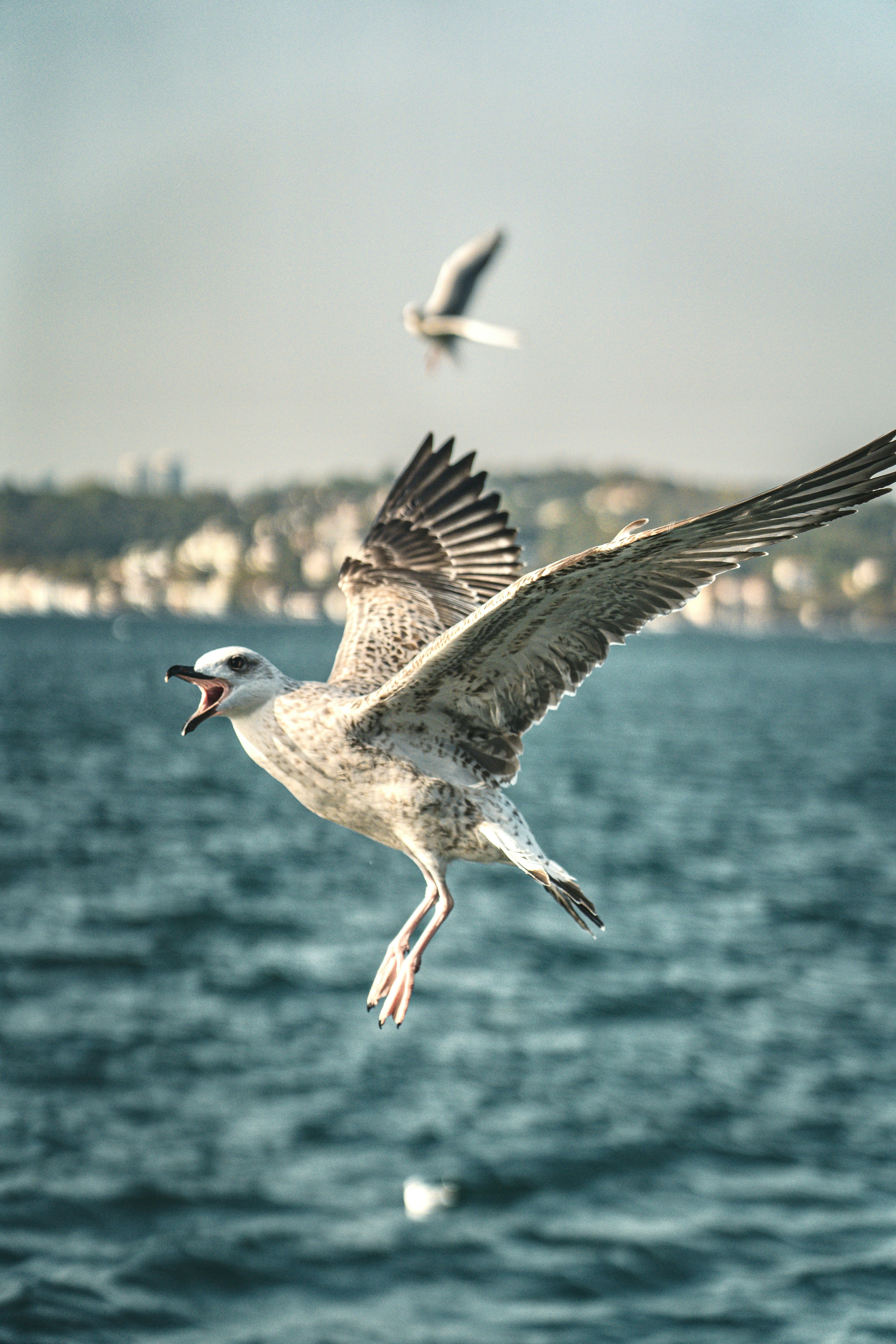 Photo by Kilic-Emre Akdag with Sony Alpha 7 III