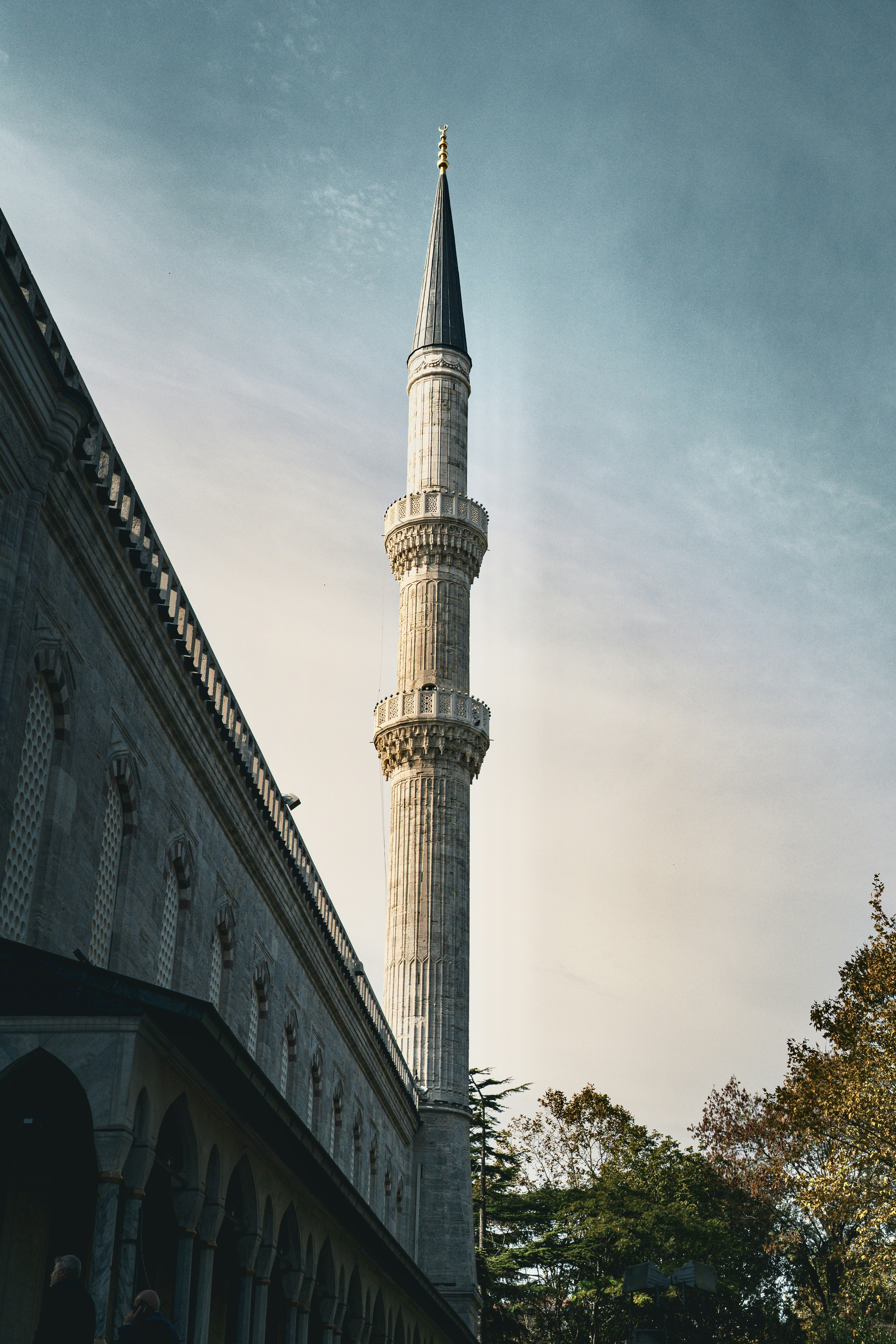 Tall minaret rising above a historic mosque, framed by lush greenery and a serene sky. The architectural details highlight the cultural significance of the structure.