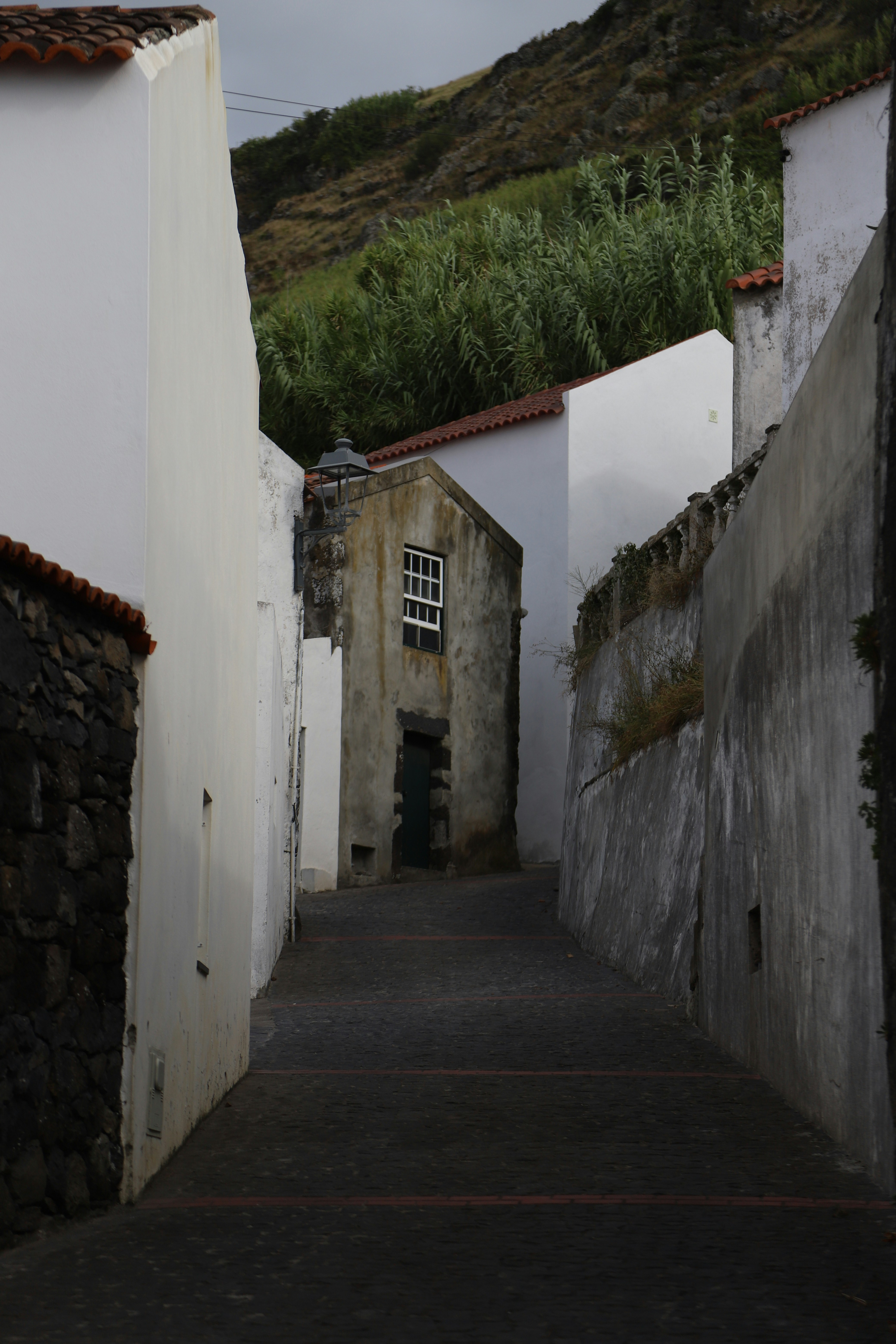 Convergence of White Walls: A Hillside Alley Toward a Weathered Doorway