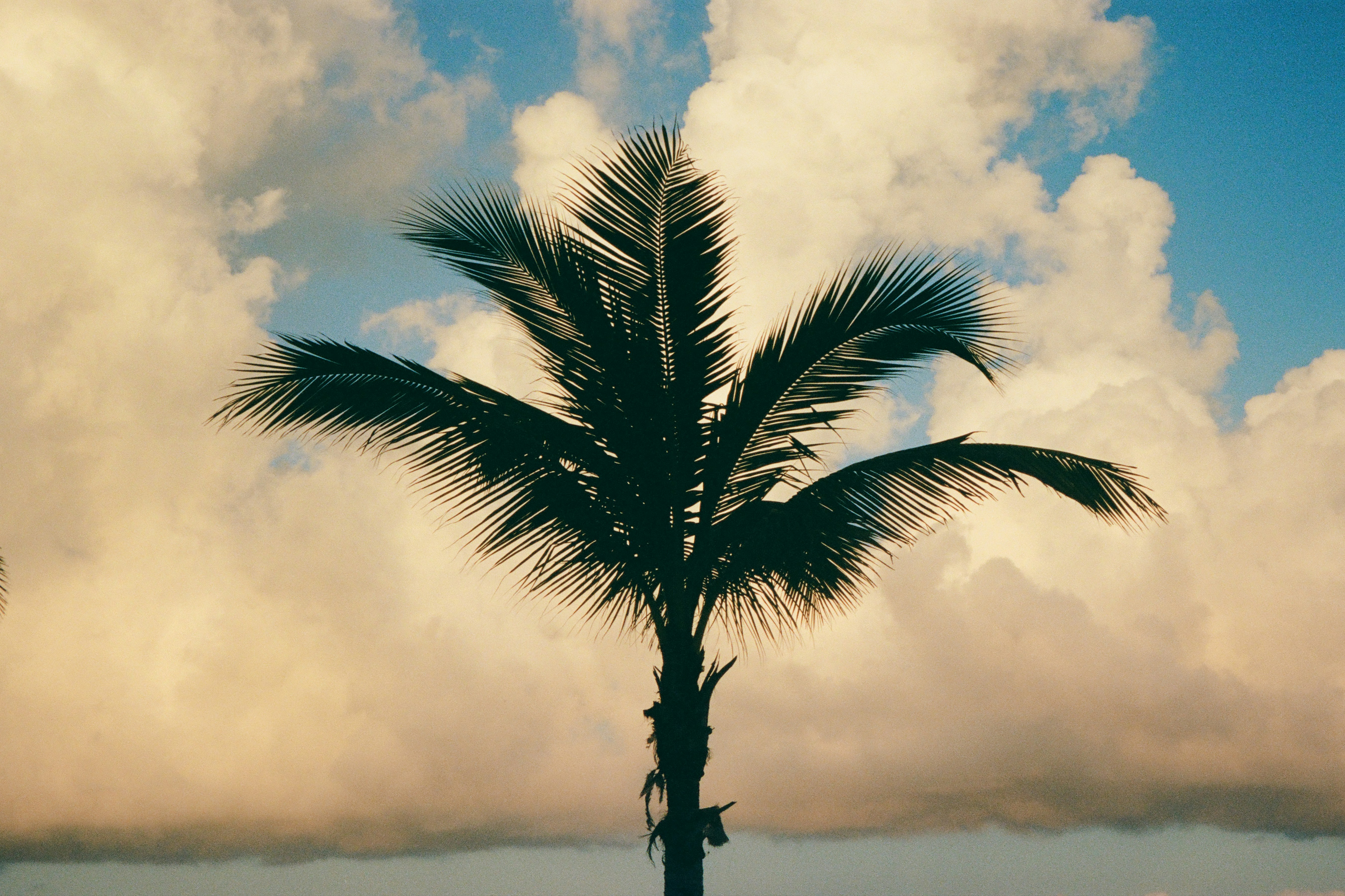 Adam Metcalf (@adammetcalf) | Comunidade de fotos da Unsplash