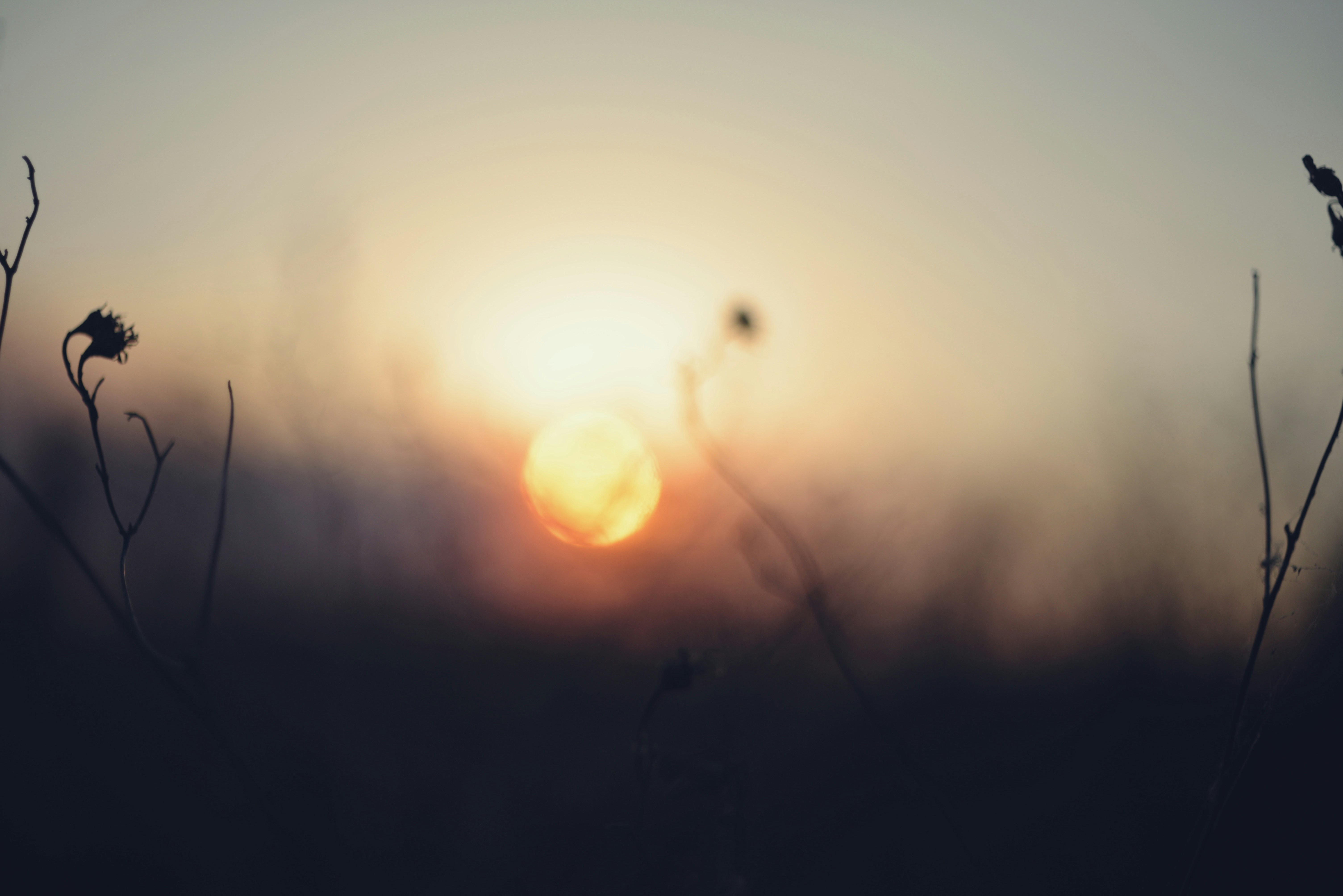 Photo by Liana S with Nikon D600