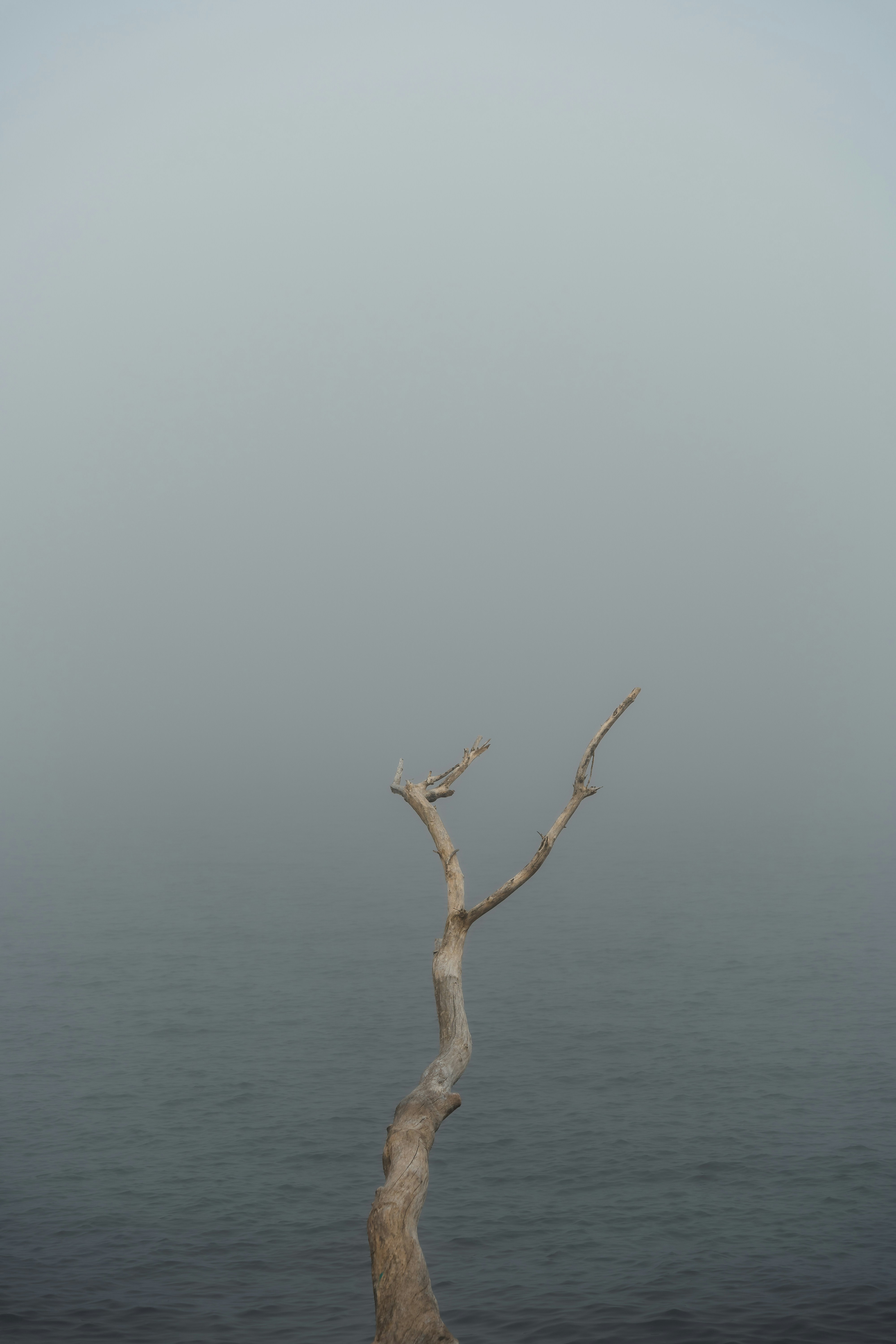 Existentialism Pictures | Download Free Images on Unsplash