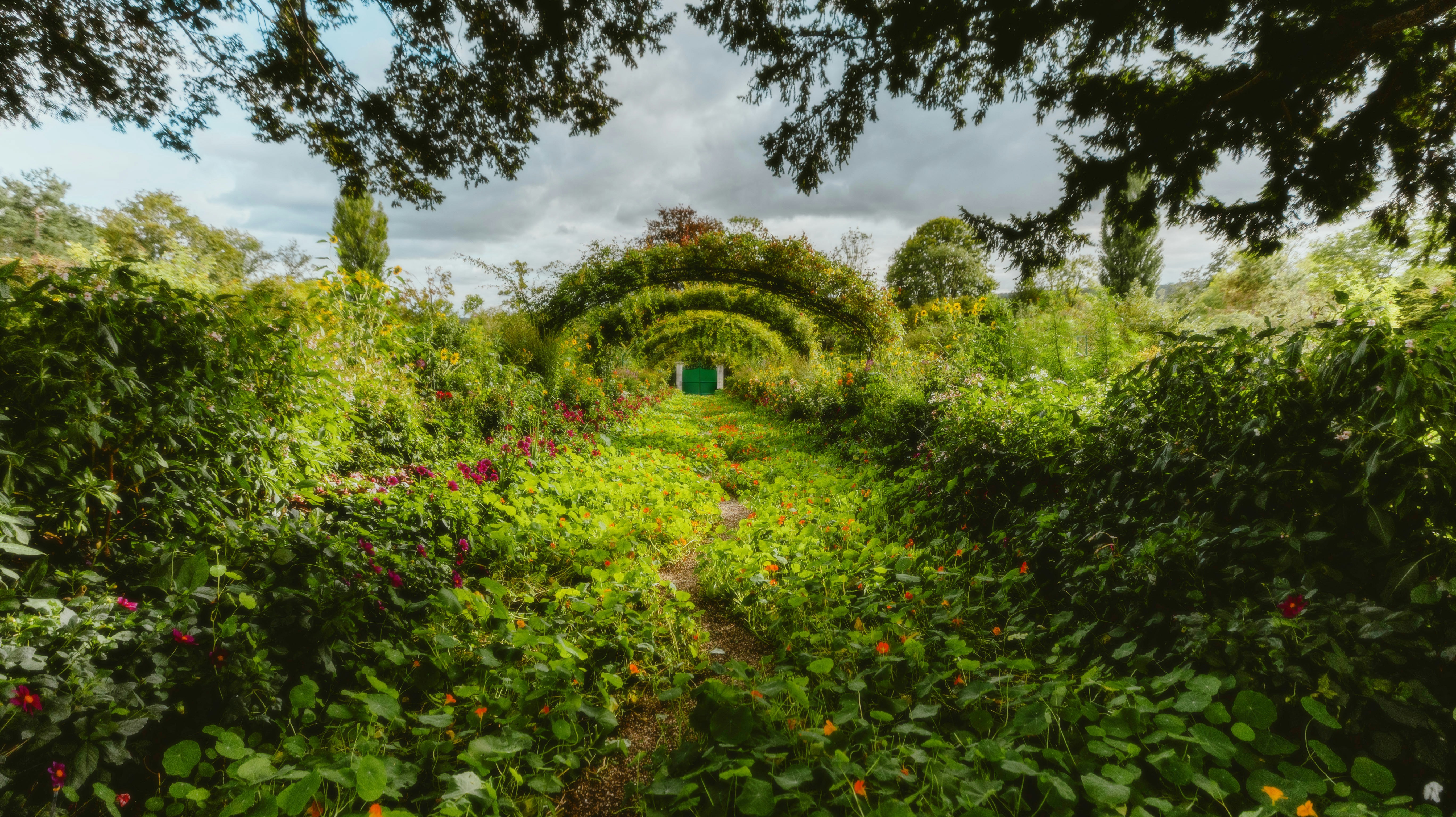 Photo by Alin Gavriliuc with Canon EOS R6