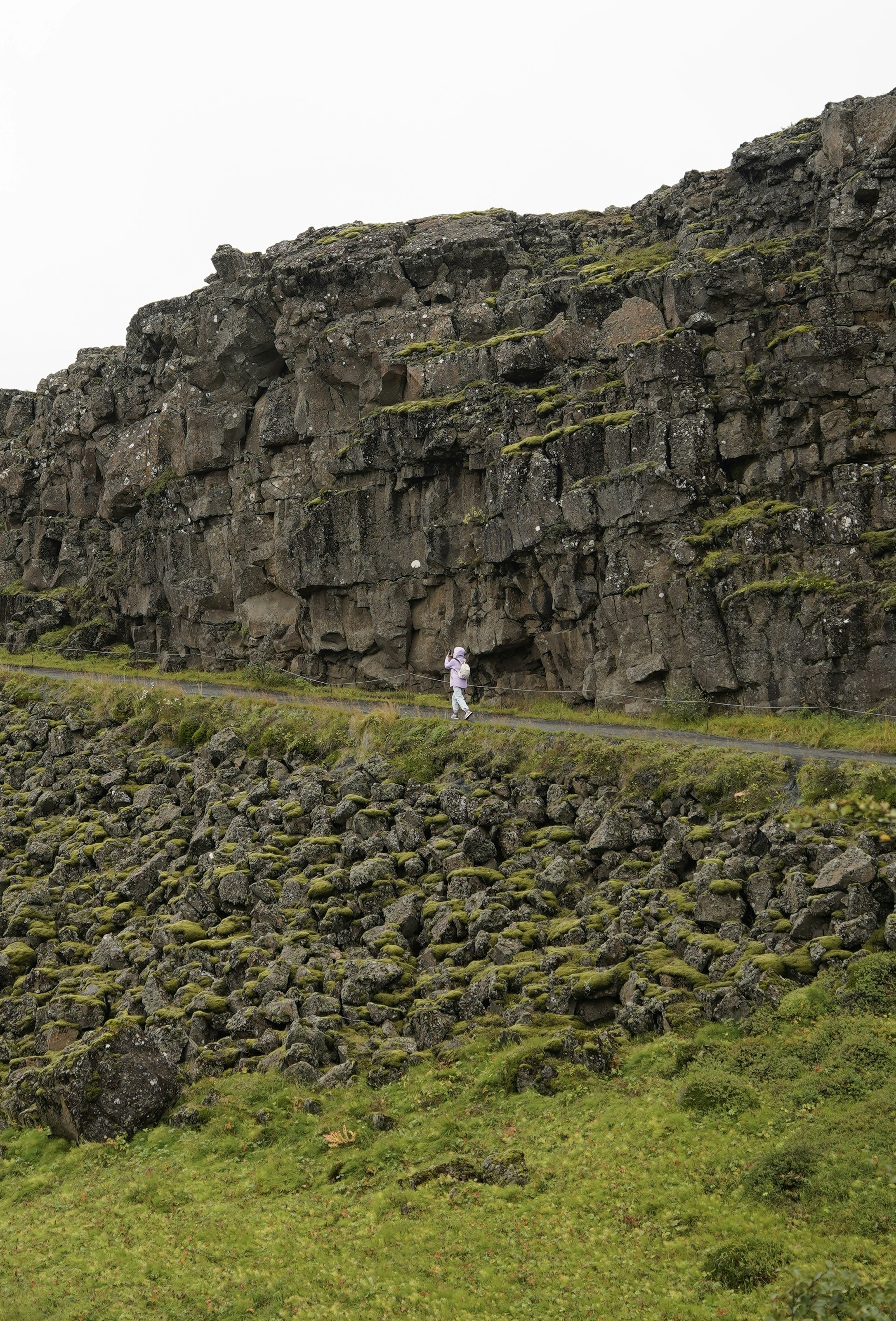 Lone Walker on a Moss-Capped Basalt Ridge