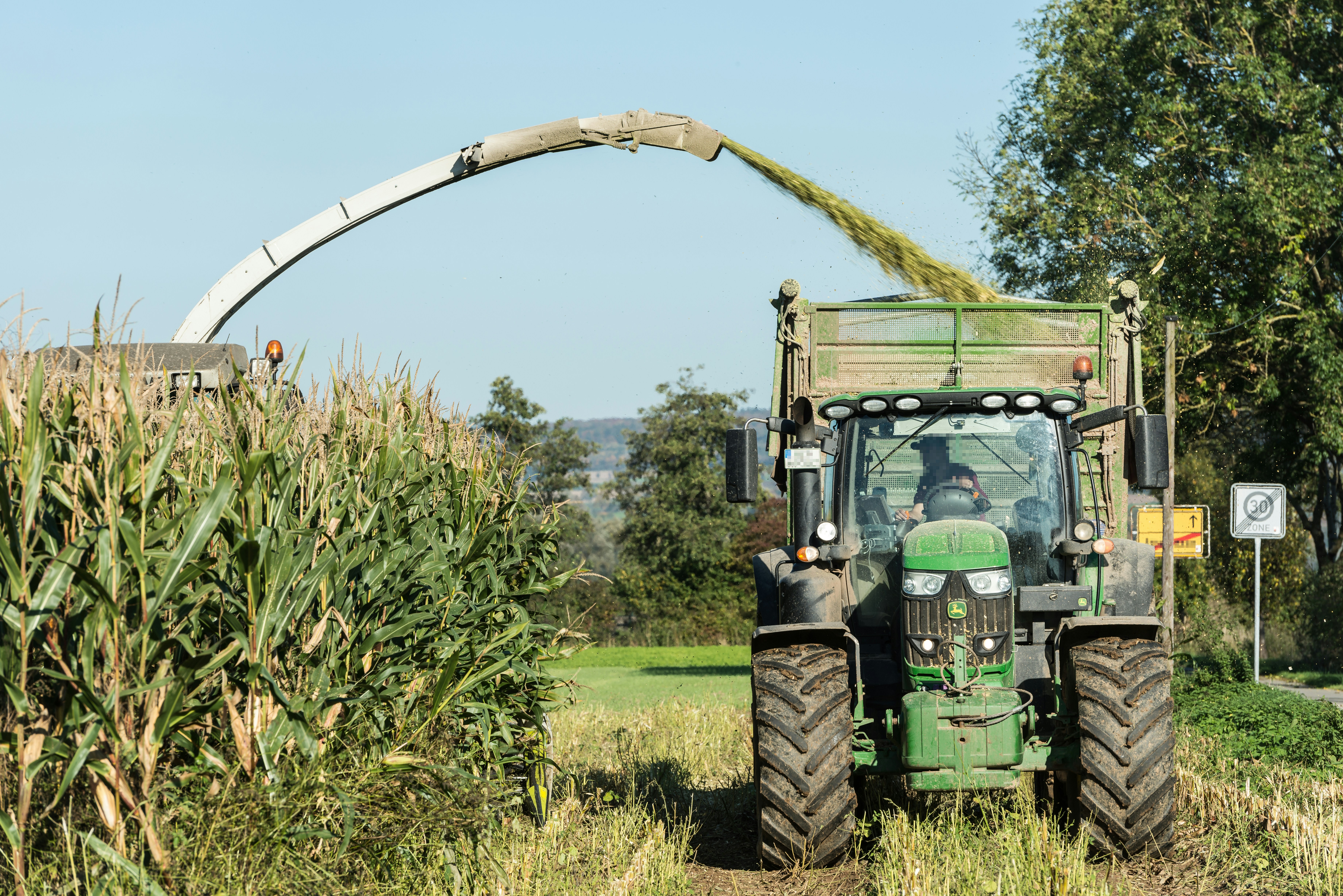 Auger Arc over a Green John Deere: Harvesting Corn under a Bright Blue Sky