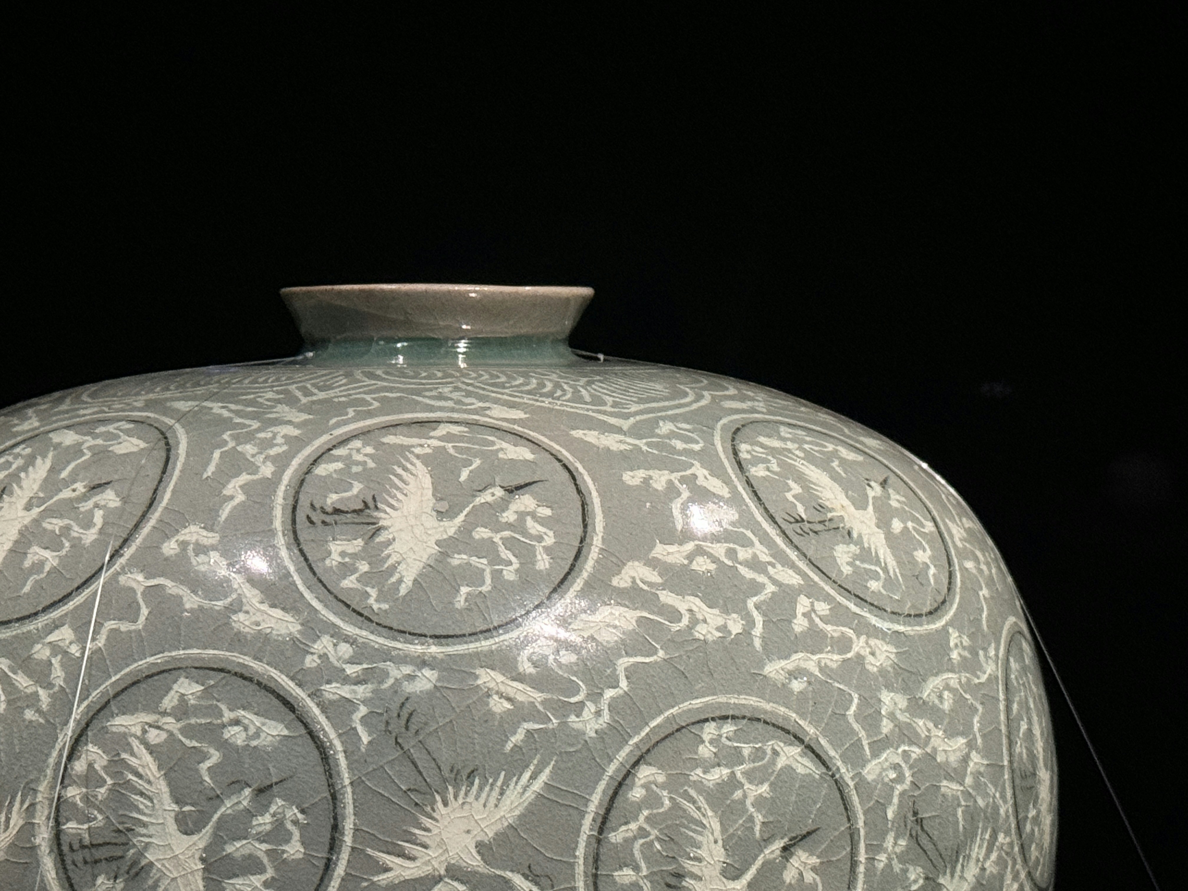 Suzi Kim (@kimsuzi08) | Comunidad de fotos de Unsplash