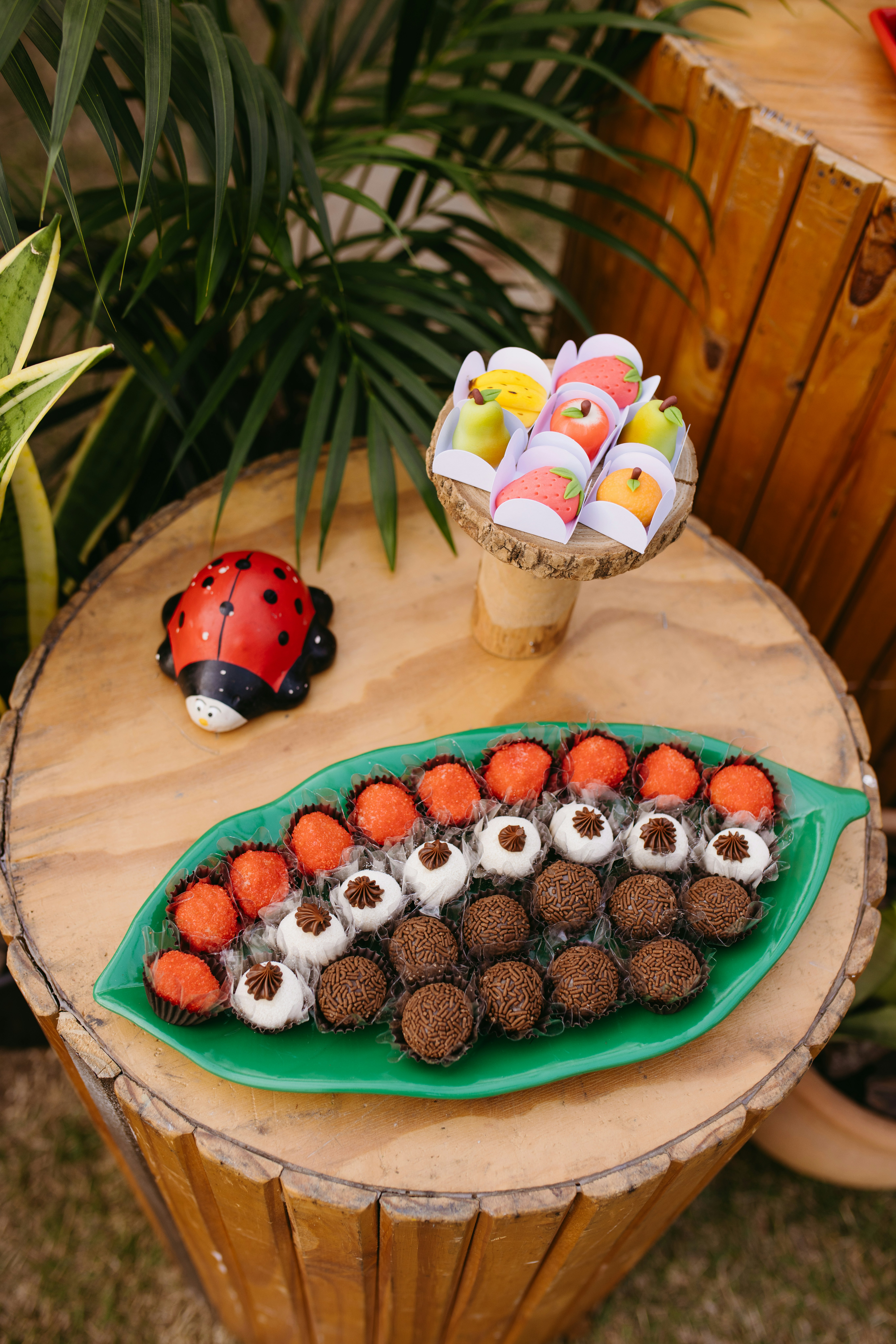Colorful Confections on a Wooden Stump Amid Tropical Greens