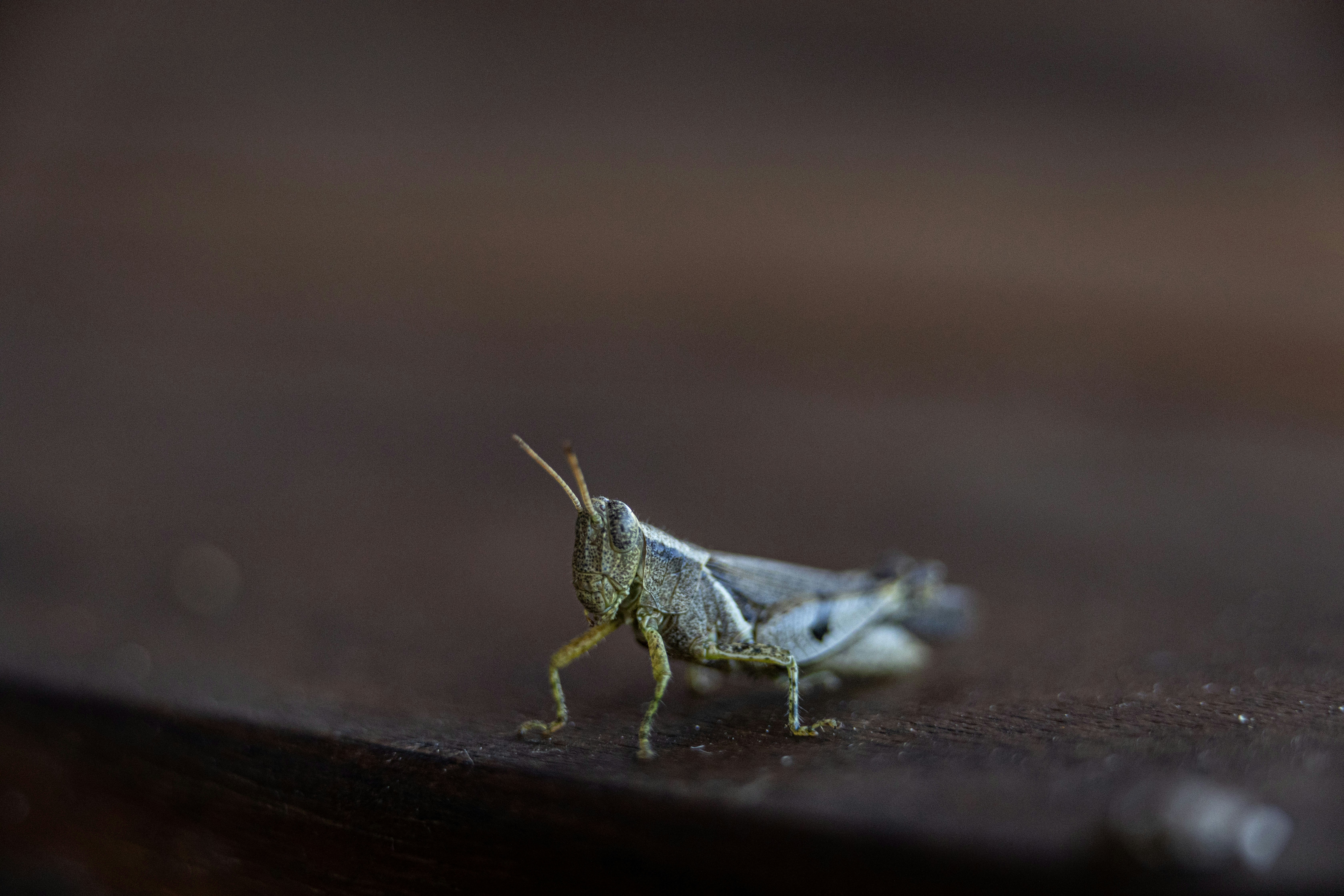 Photo by Alfonso Betancourt with Canon EOS R