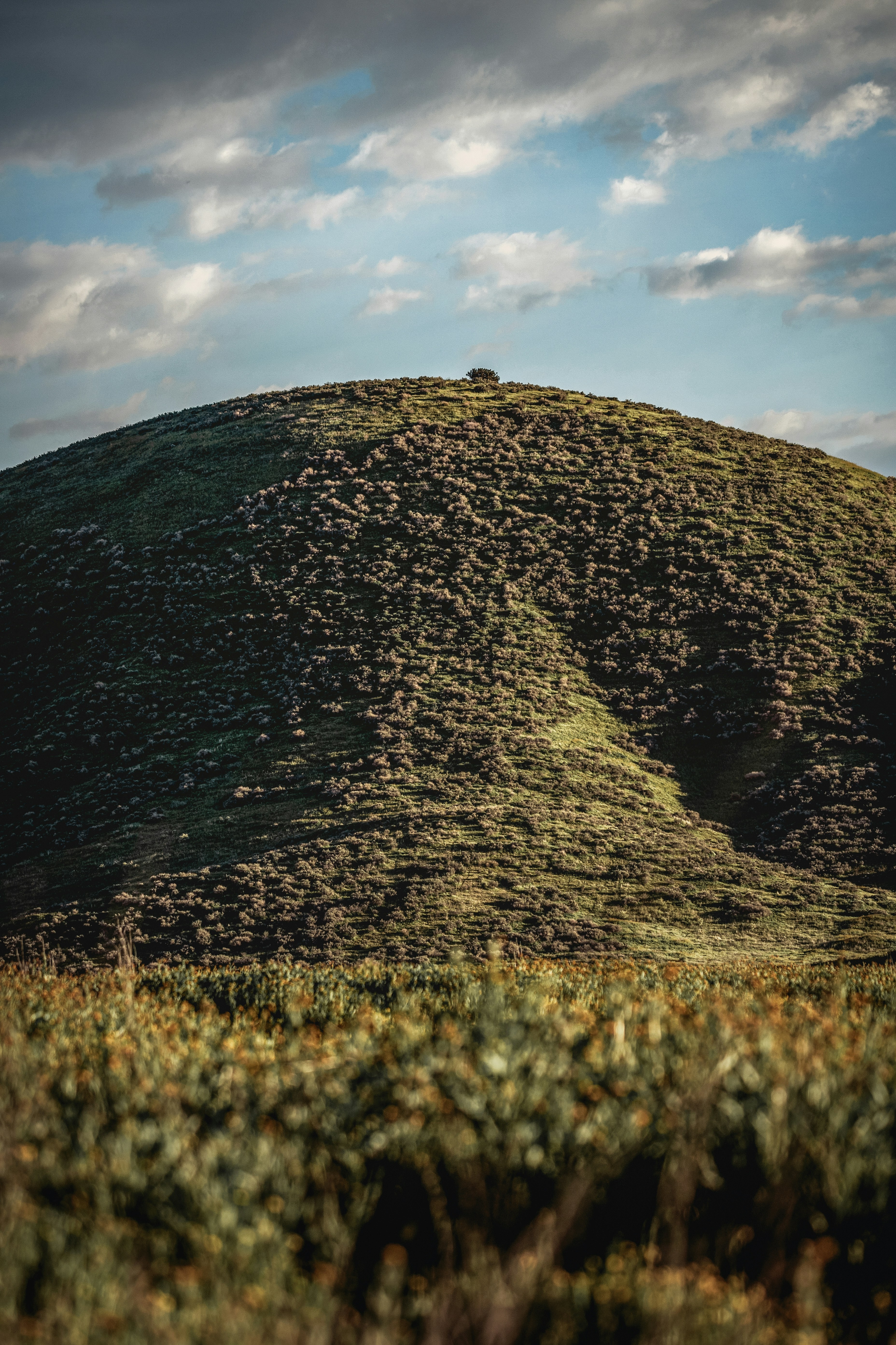 Rolling green hill beneath a partly cloudy sky with sunlight casting soft shadows.