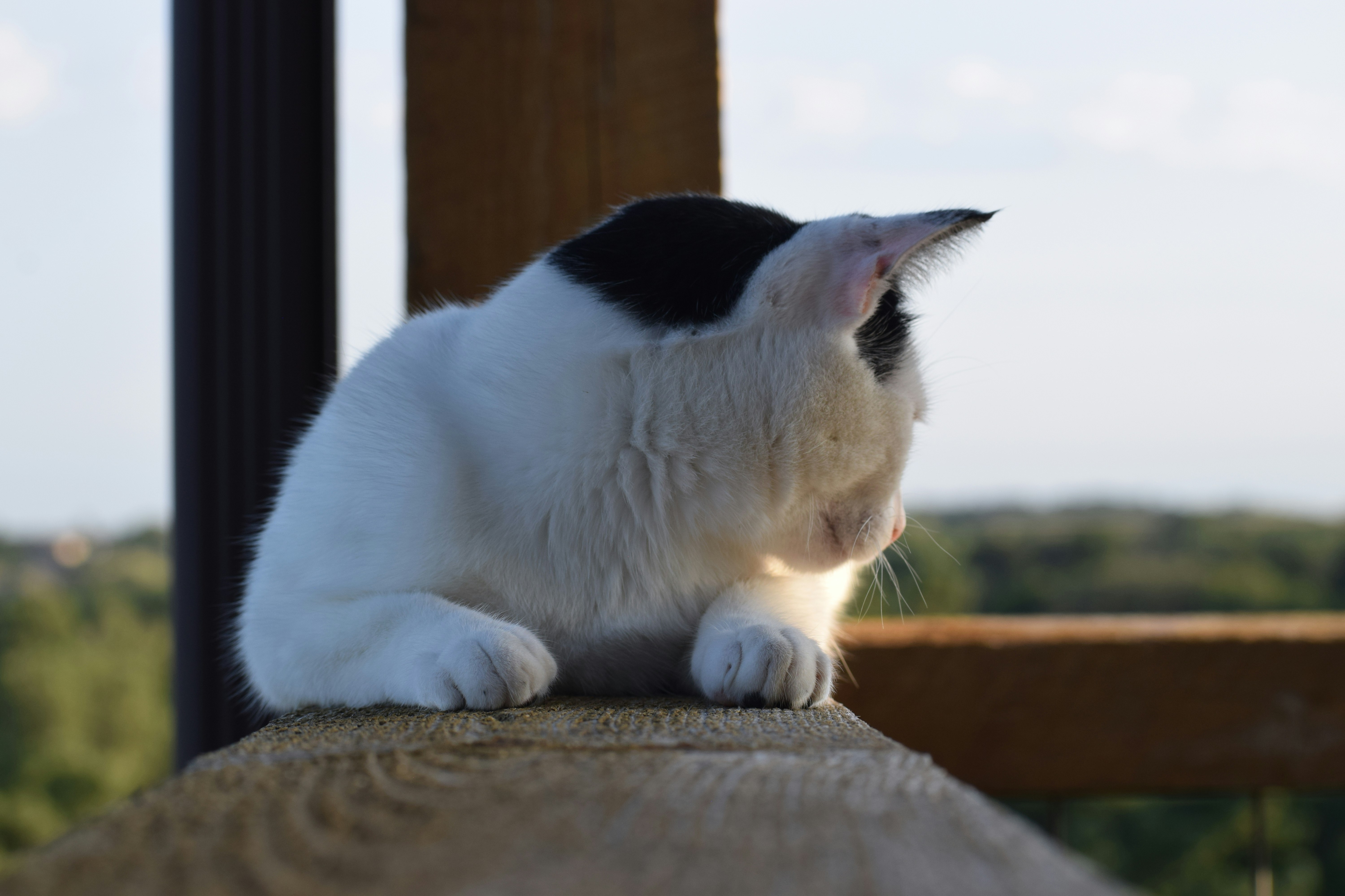 Photo by Filming & CO. with Nikon D3300