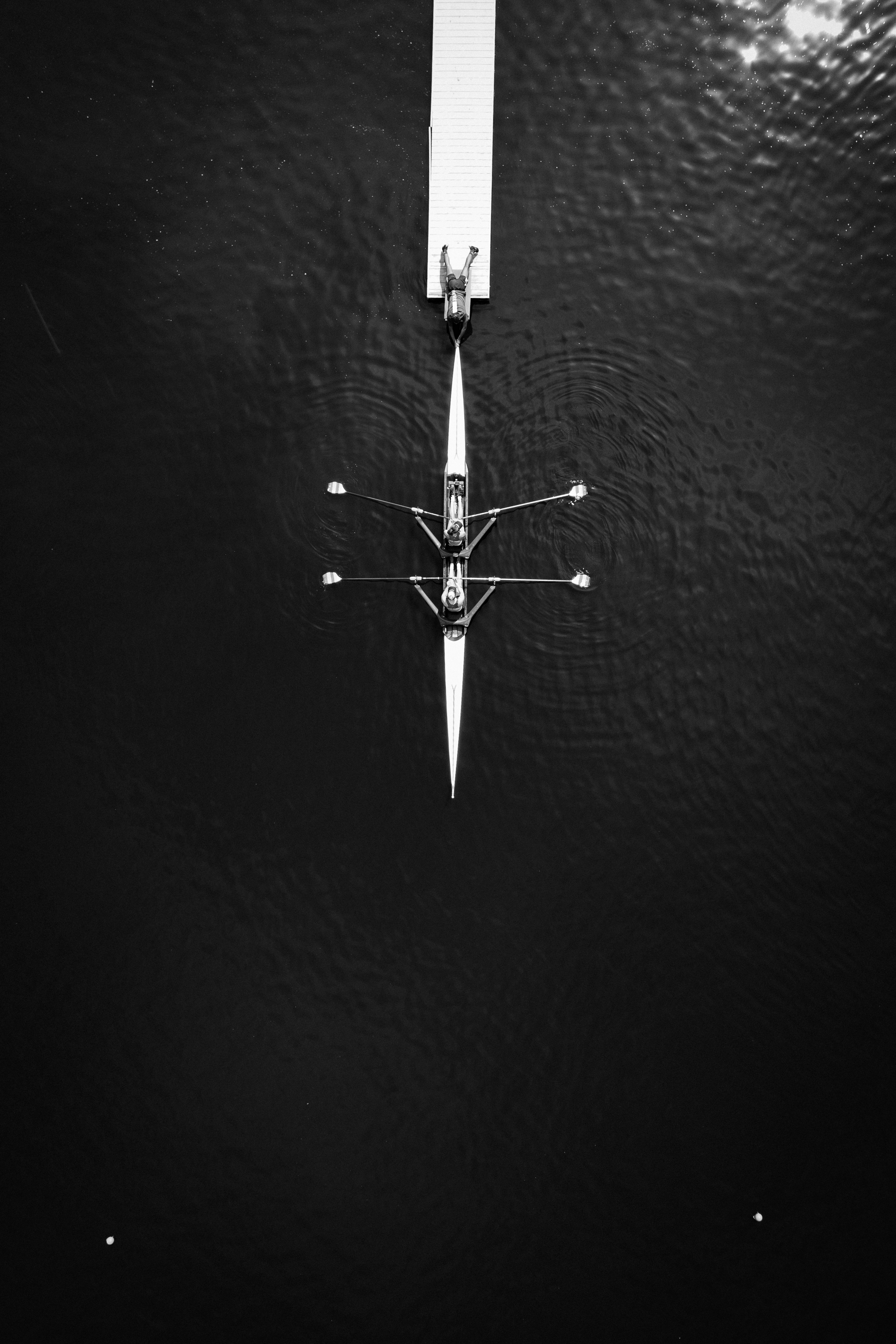 Harmony in Motion: The Elegance of Rowing