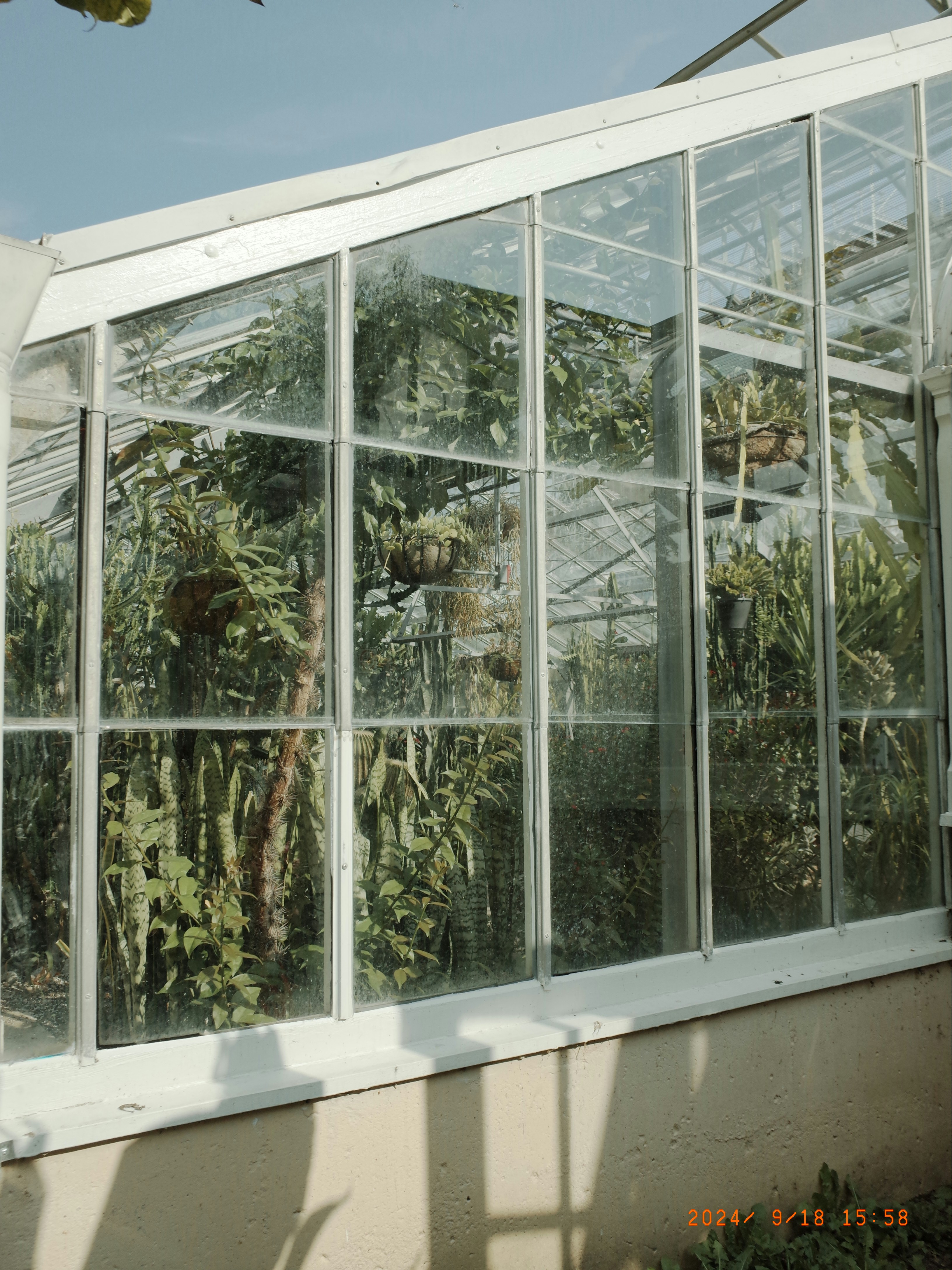 A building with a lot of plants inside of it photo – Free Allan gardens ...