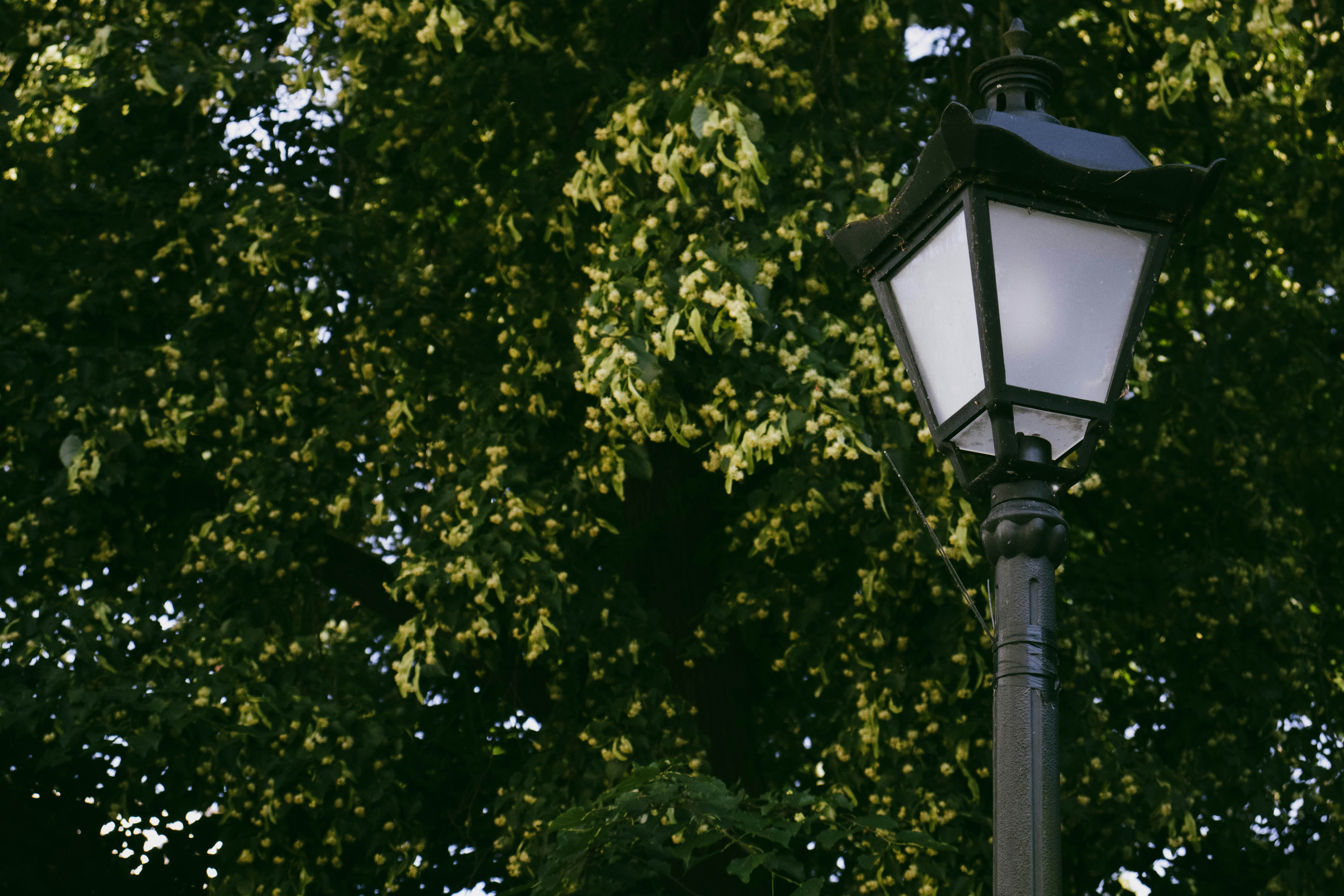 Photo by Andrey Volk with Canon EOS 250D