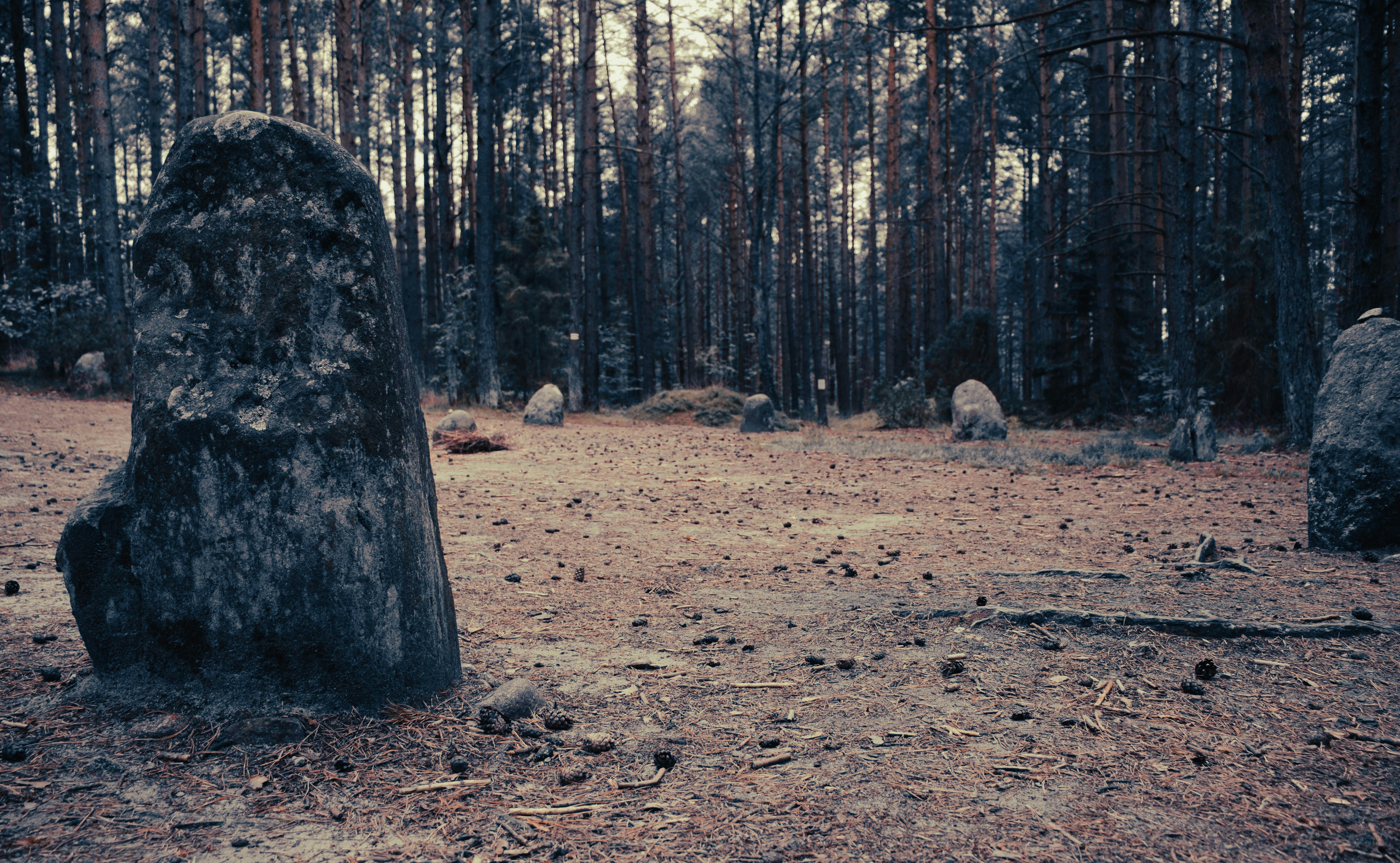 Dusk Sentinel Over a Meadow of Megaliths