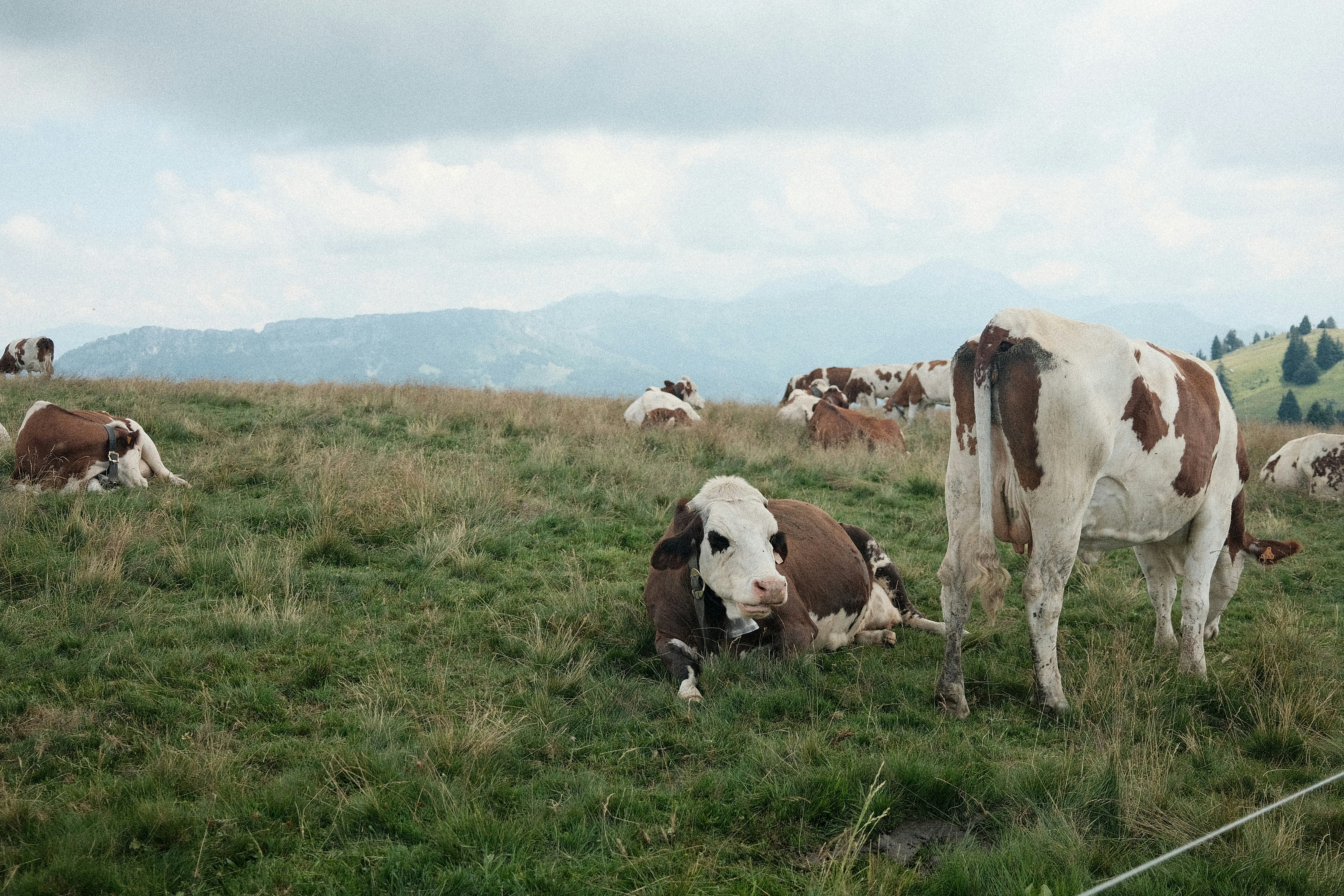 Photo by Valentin Lacoste with Fujifilm X100V