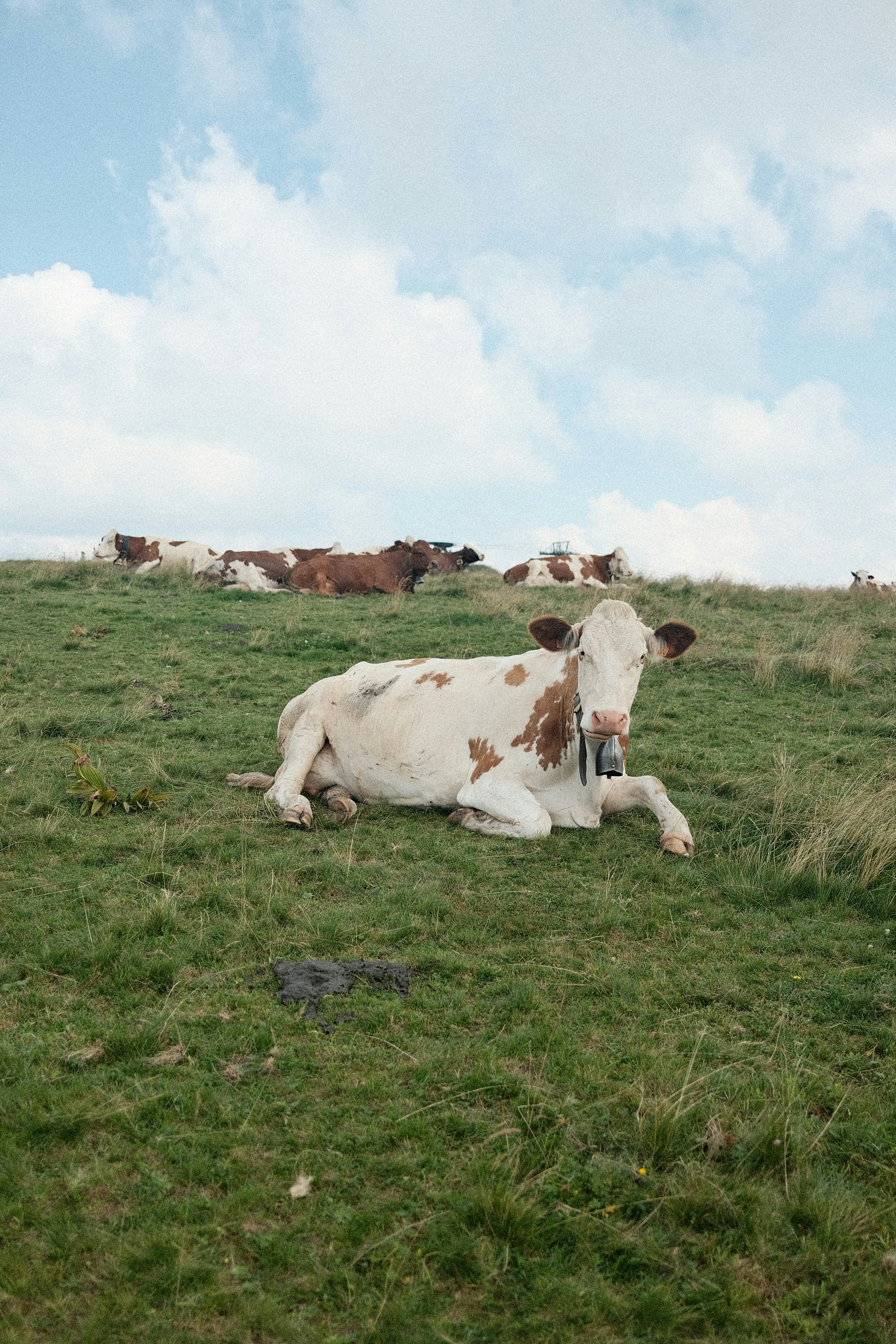 Photo by Valentin Lacoste with Fujifilm X100V